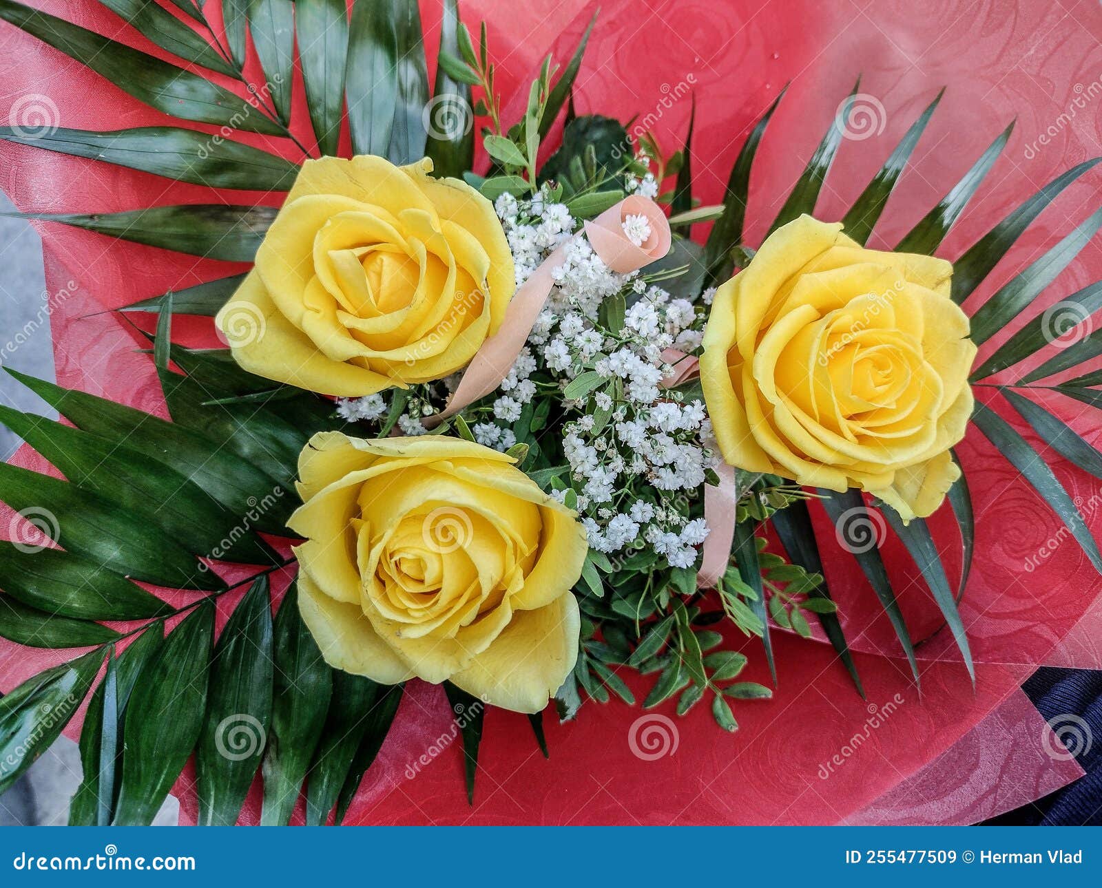 Bouquet of Three Yellow Roses Stock Image - Image of yellow, roses ...