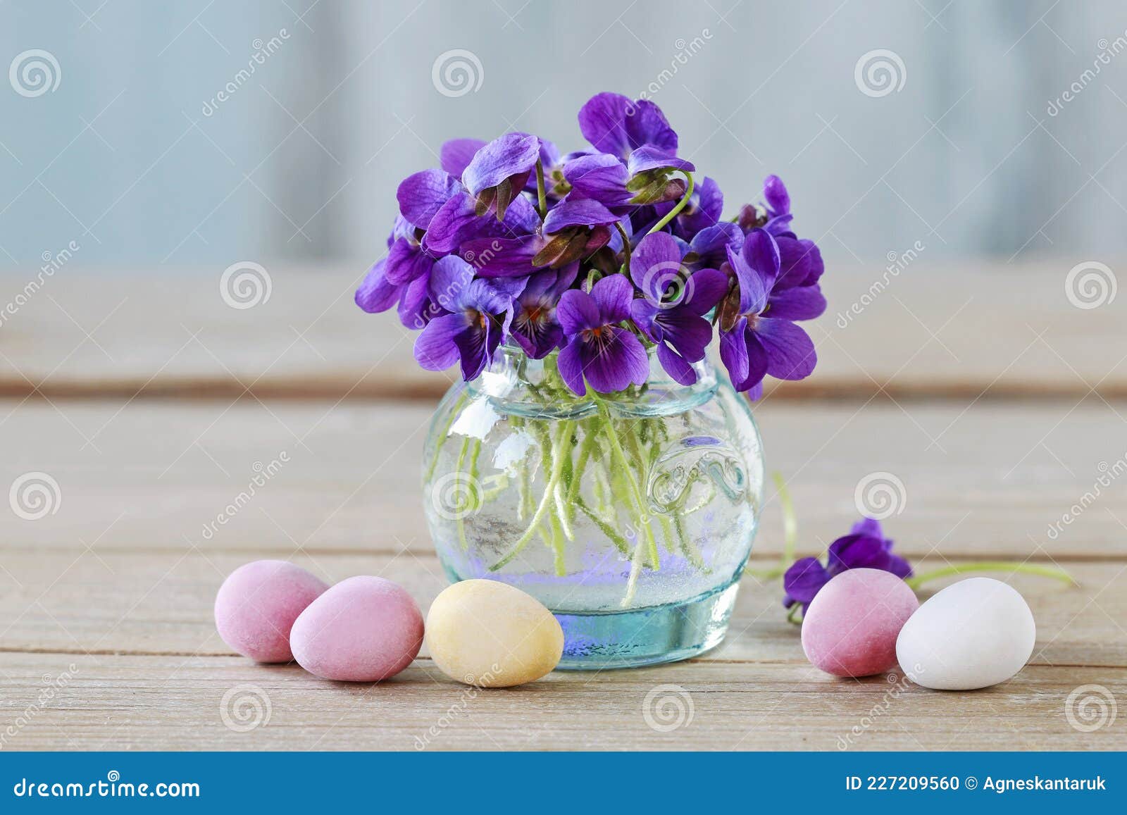 Bouquet of Tiny Violets Viola Odorata and Chocolate Easter Eggs on ...