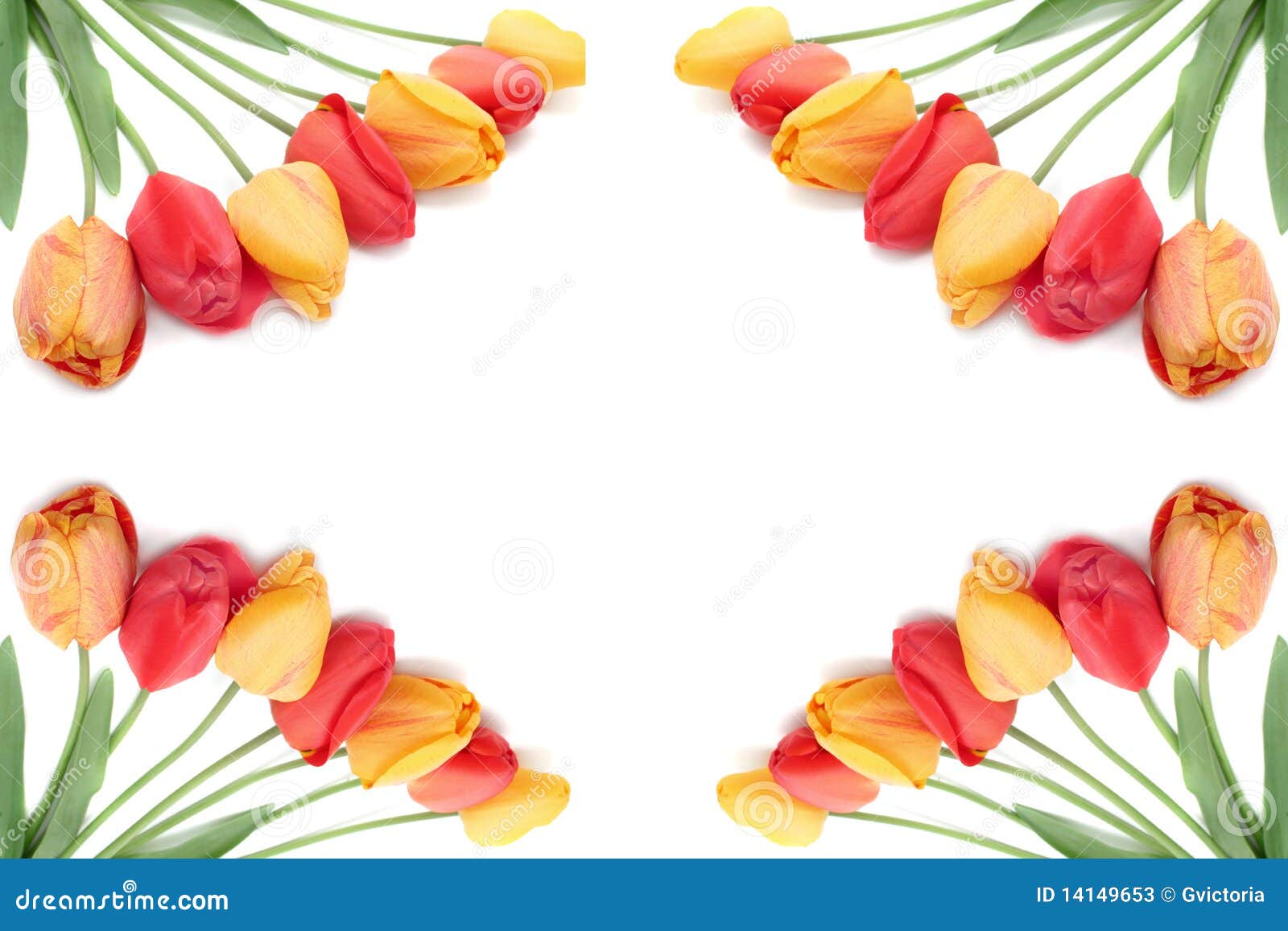 Bouquet Of Tulips Border Or Frame Stock Photos - Image: 14149653