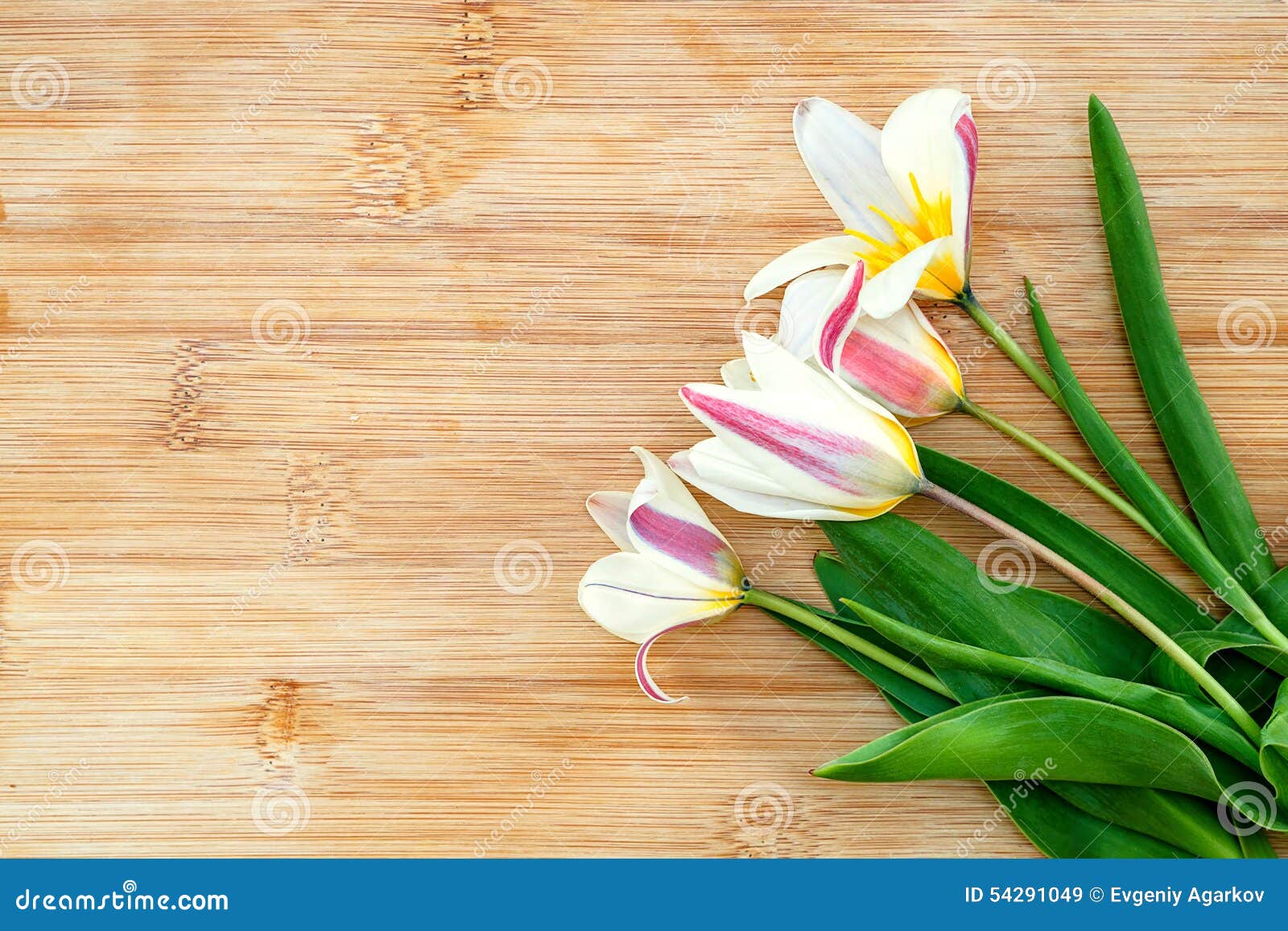 Bouquet of Tulips on Wooden Board. Stock Image - Image of celebration ...
