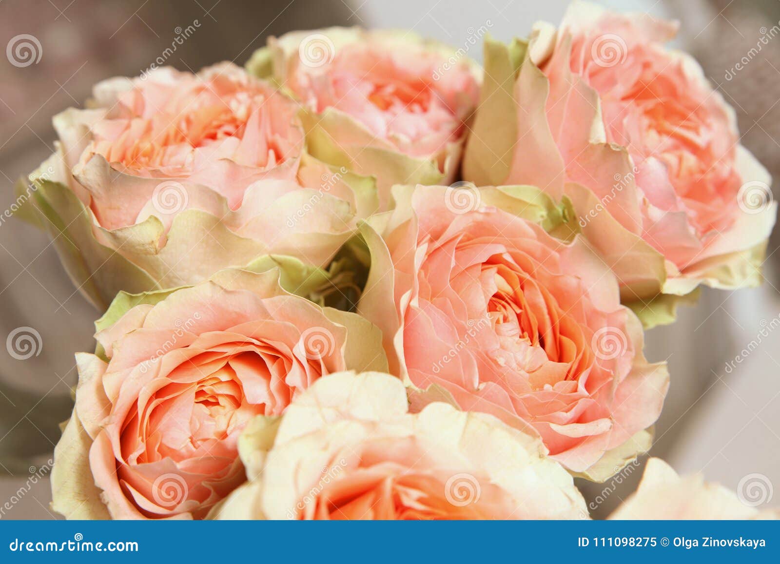 Bouquet of Unusual Varieties of Roses Stock Image - Image of beautiful ...