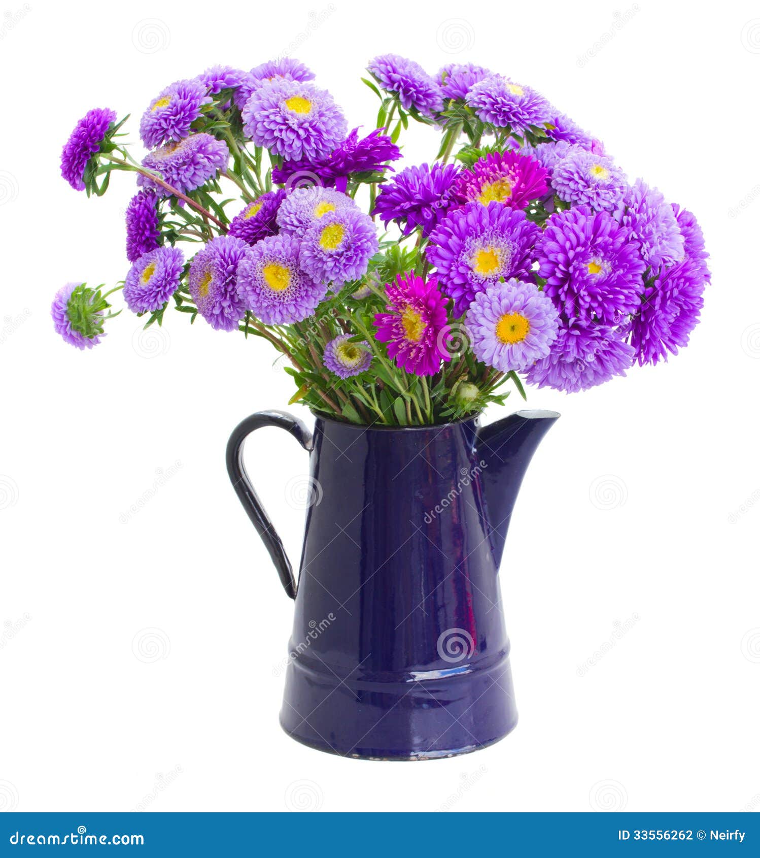 Bouquet Of Violet Aster Flowers Stock Photography - Image: 33556262