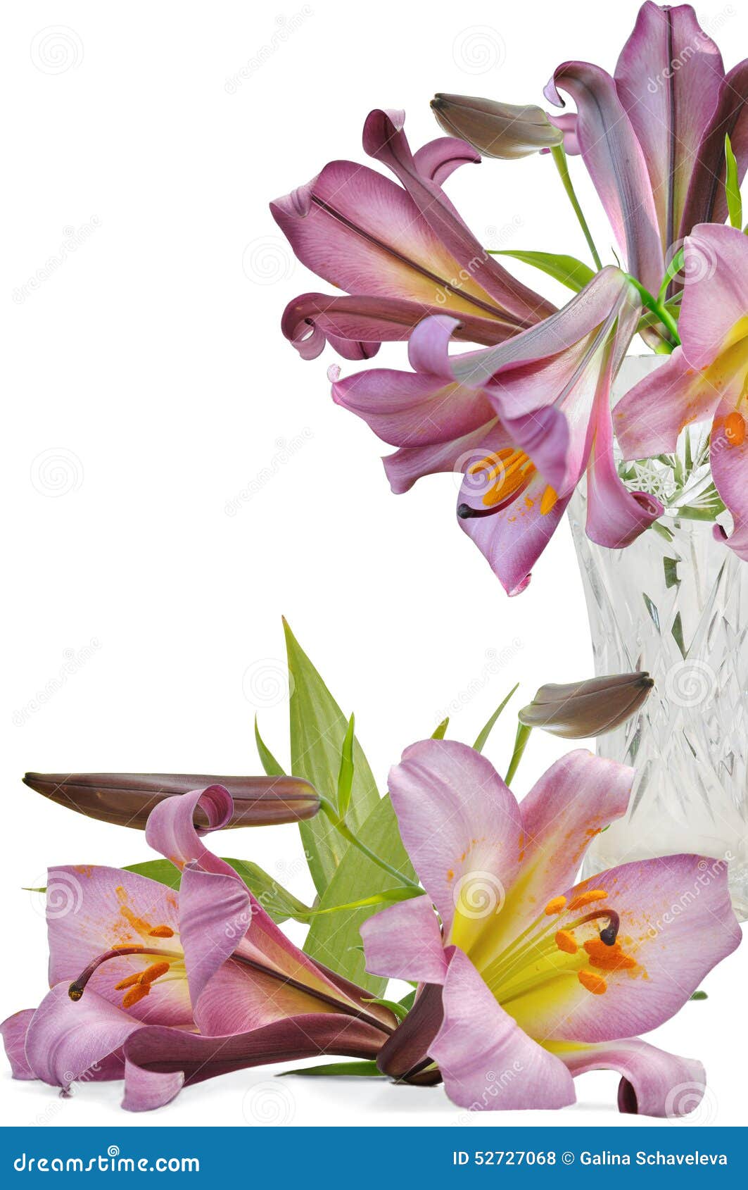 Bouquet Violet Lily in Vase Stock Photo - Image of flower, weather ...