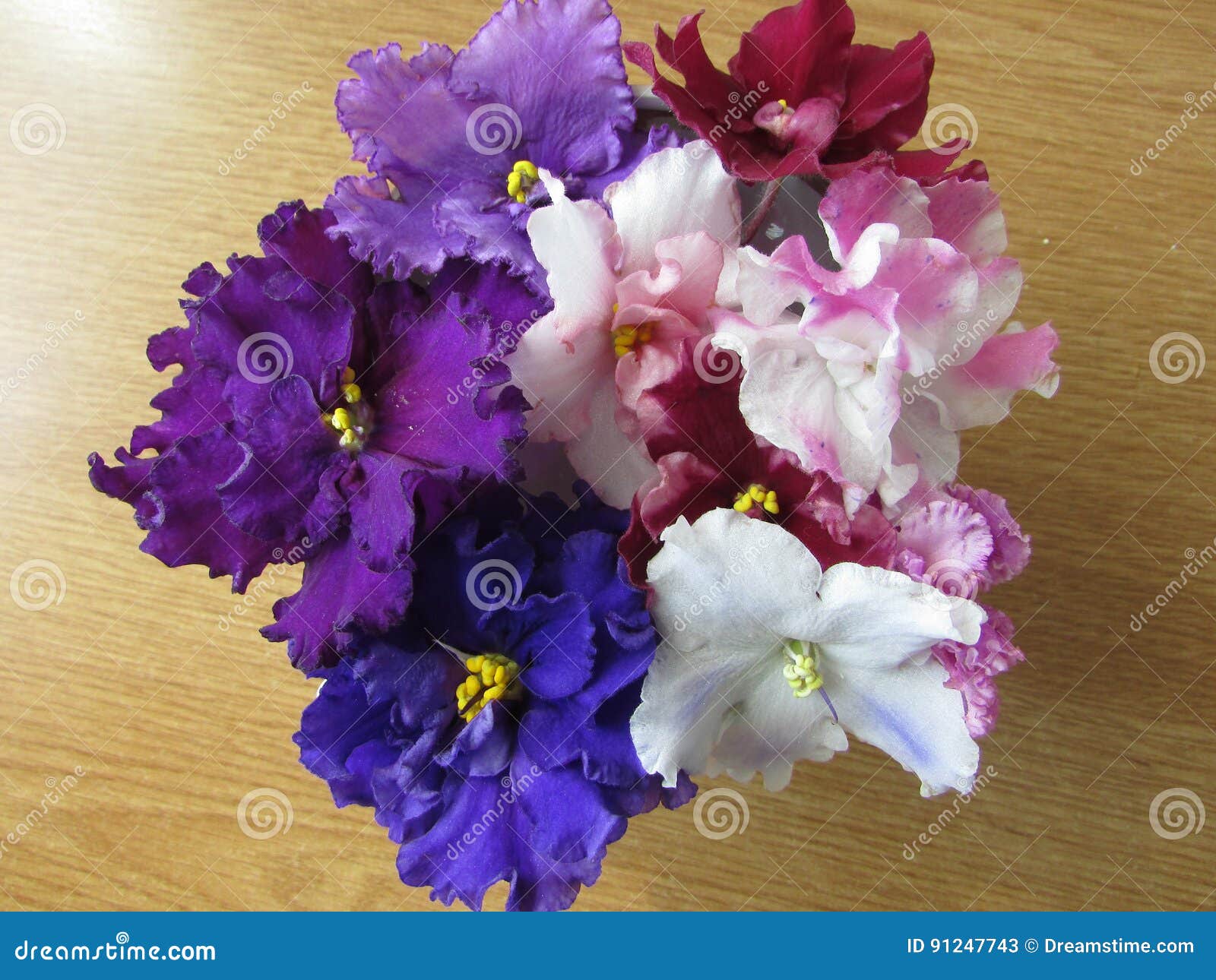 Bouquet of violets stock image. Image of background, white - 91247743