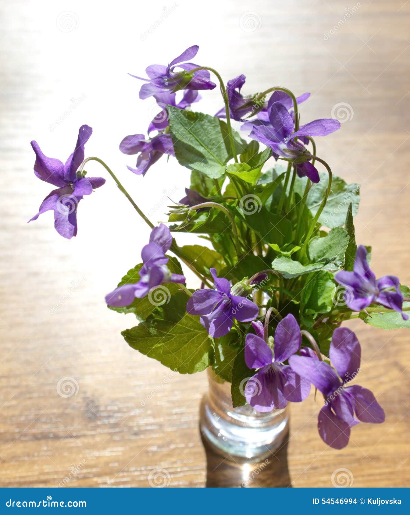 Bouquet of violets stock photo. Image of herb, blossom - 54546994