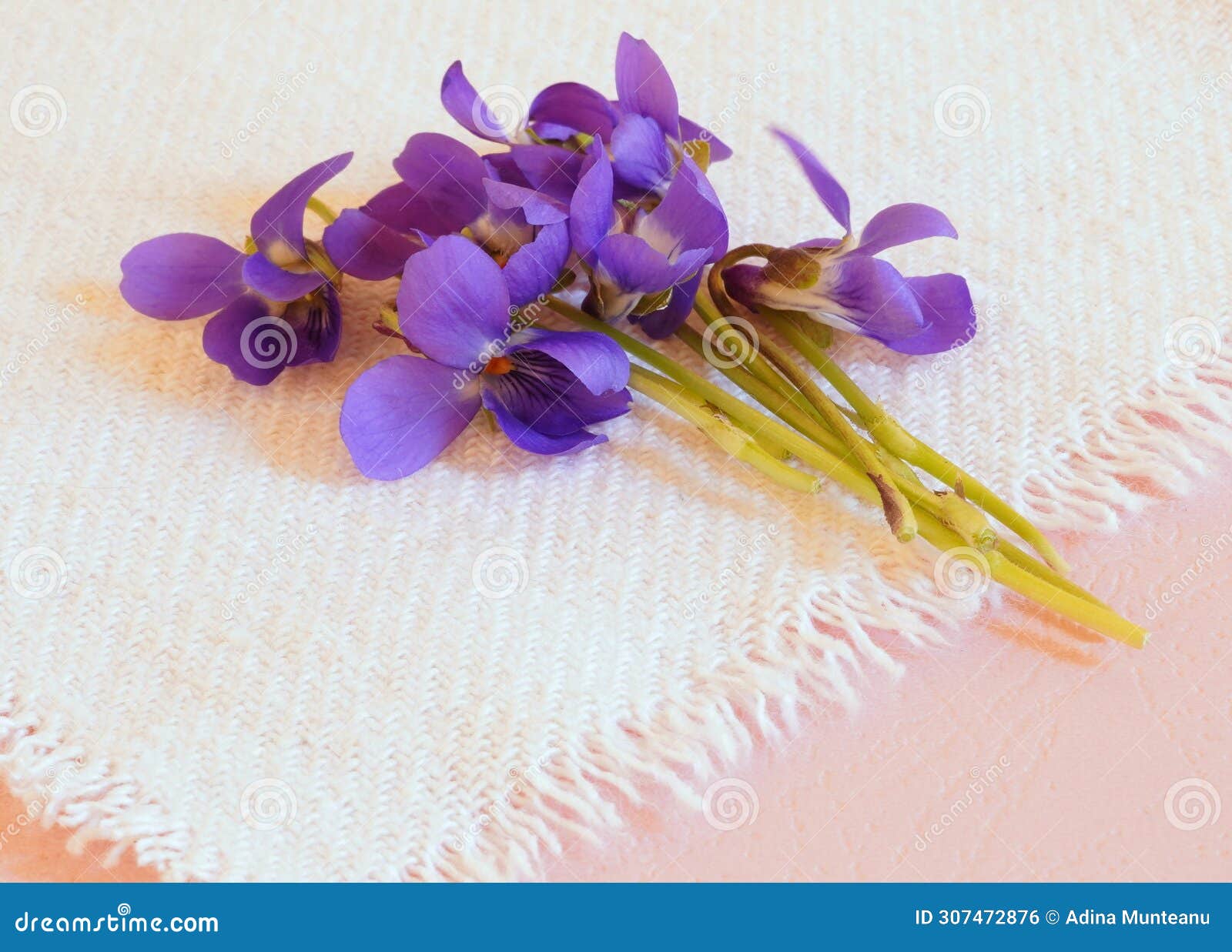 Bouquet of Violets (viola Odorata) Flowers Stock Photo - Image of ...