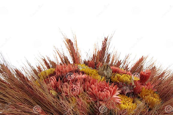 A Bouquet of Wheat and Flowers Stock Image - Image of bouquet, macro ...
