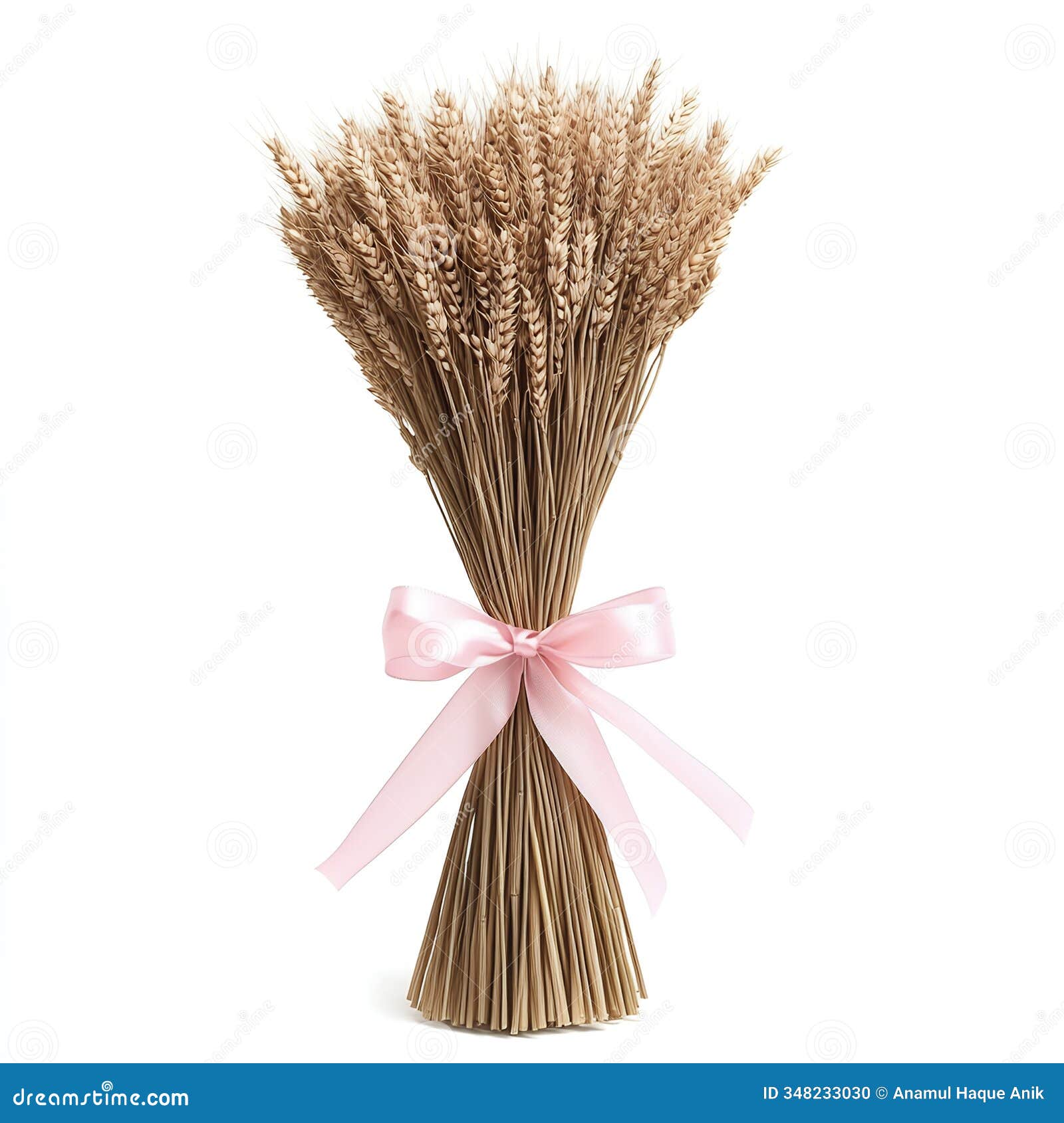 Wheat Tied With A Ribbon Vector Illustration | CartoonDealer.com #63310842