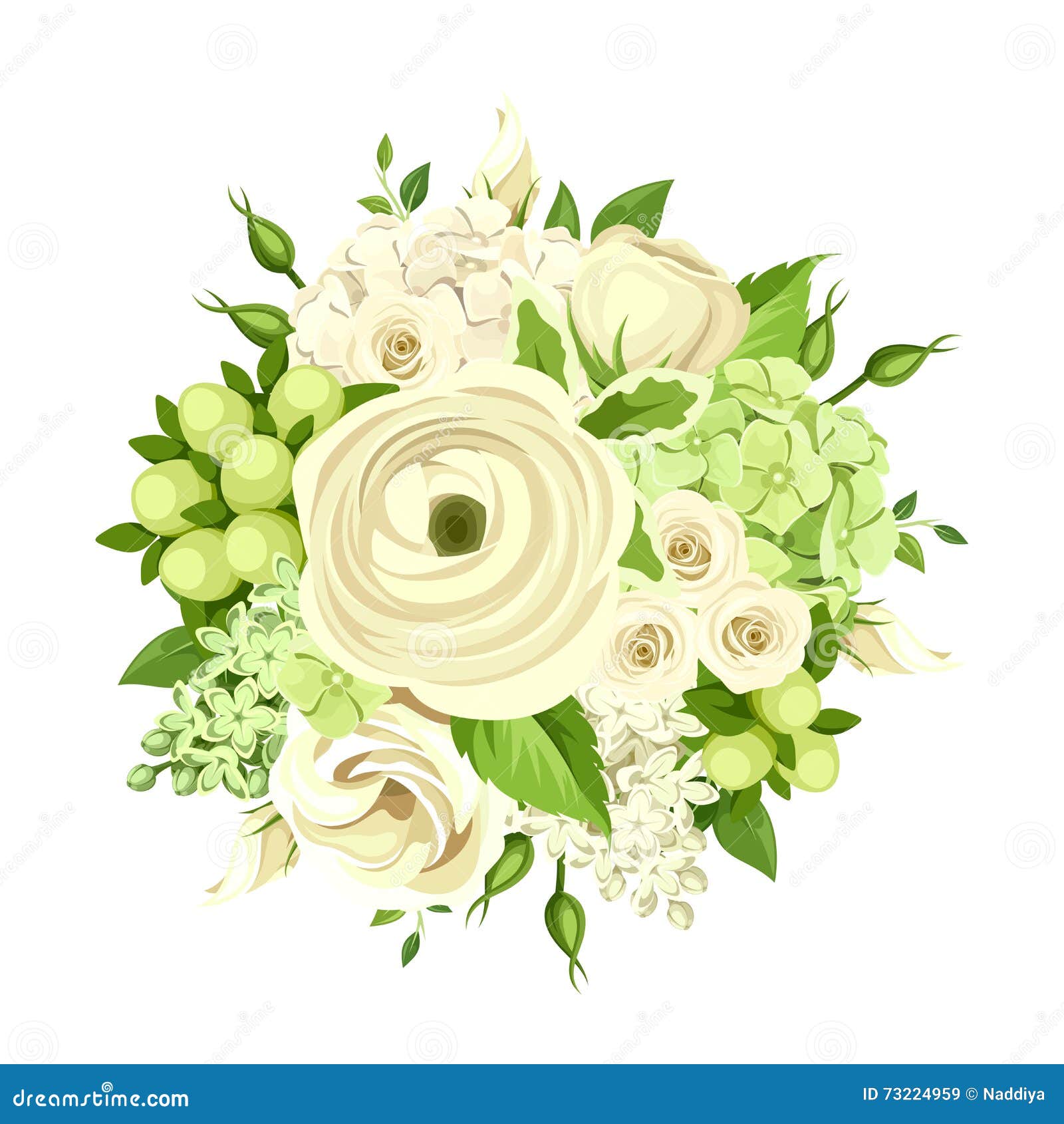 Bouquet with White and Green Flowers. Vector Illustration. Stock Vector ...