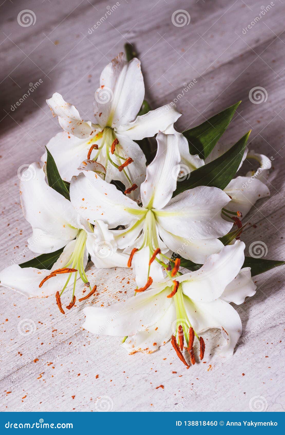 Bouquet of White Lilies and Pollen on the Background of the Floor Stock ...