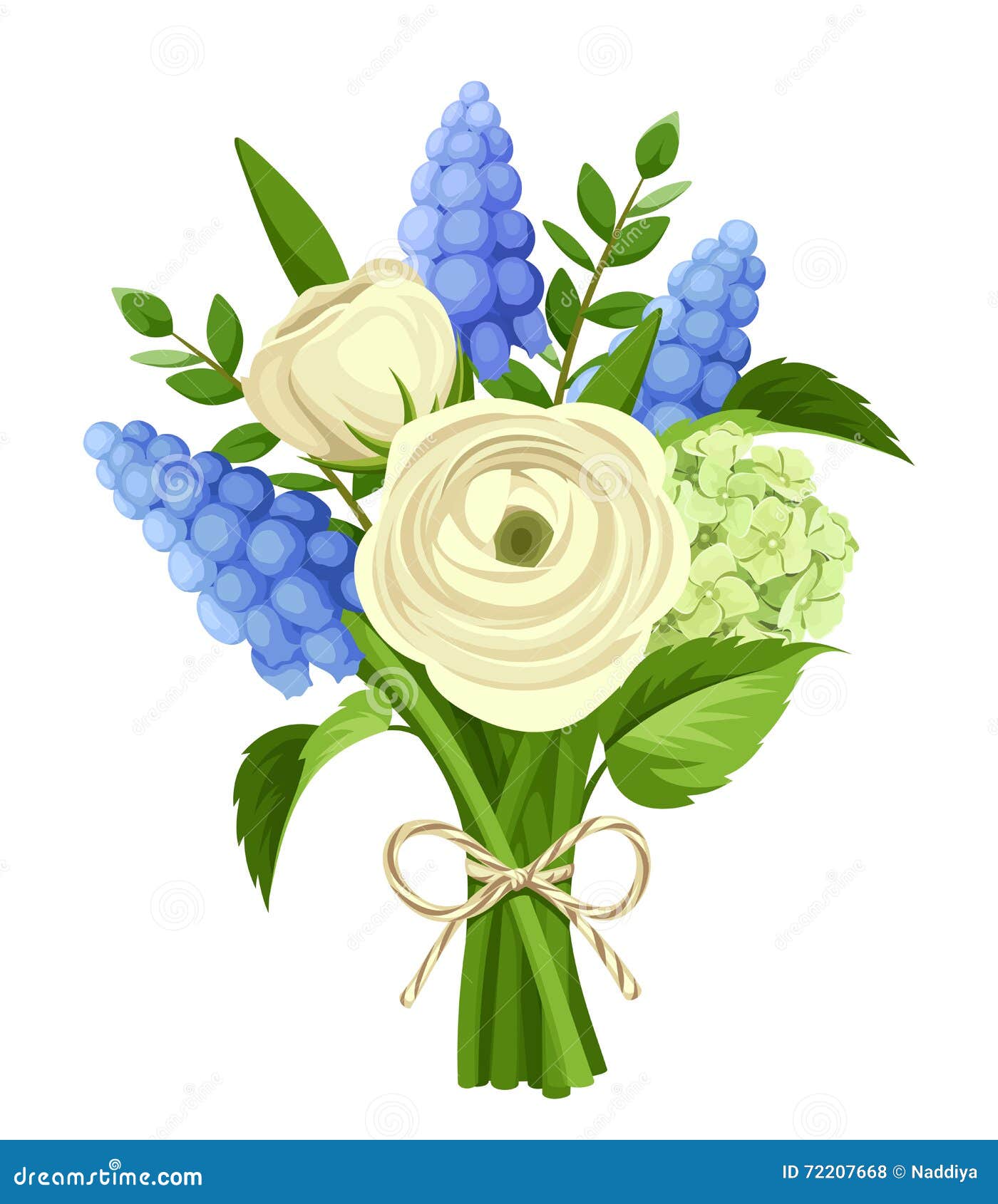 Grape Hyacinth Flower Illustration, Drawing, Engraving, Line Art ...