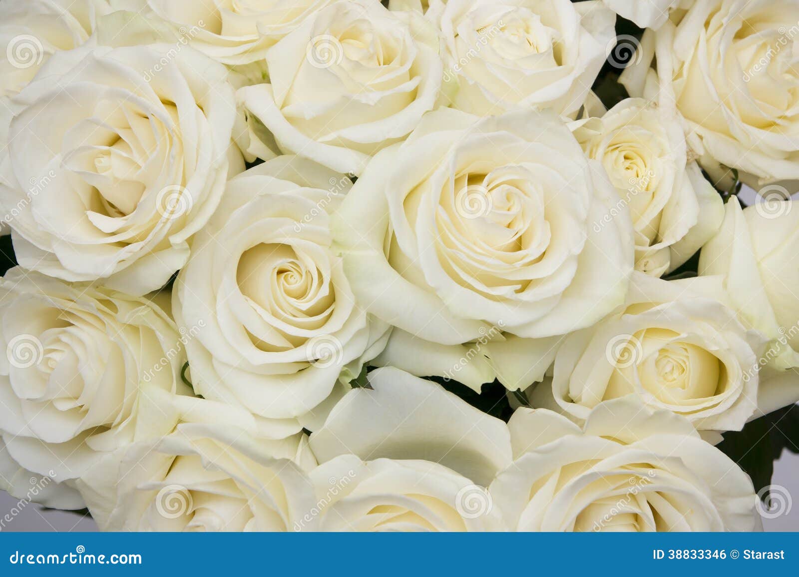 Bouquet Of White Yellow Tiny Flowers Of Hogweed Plant - Tetrataenium ...