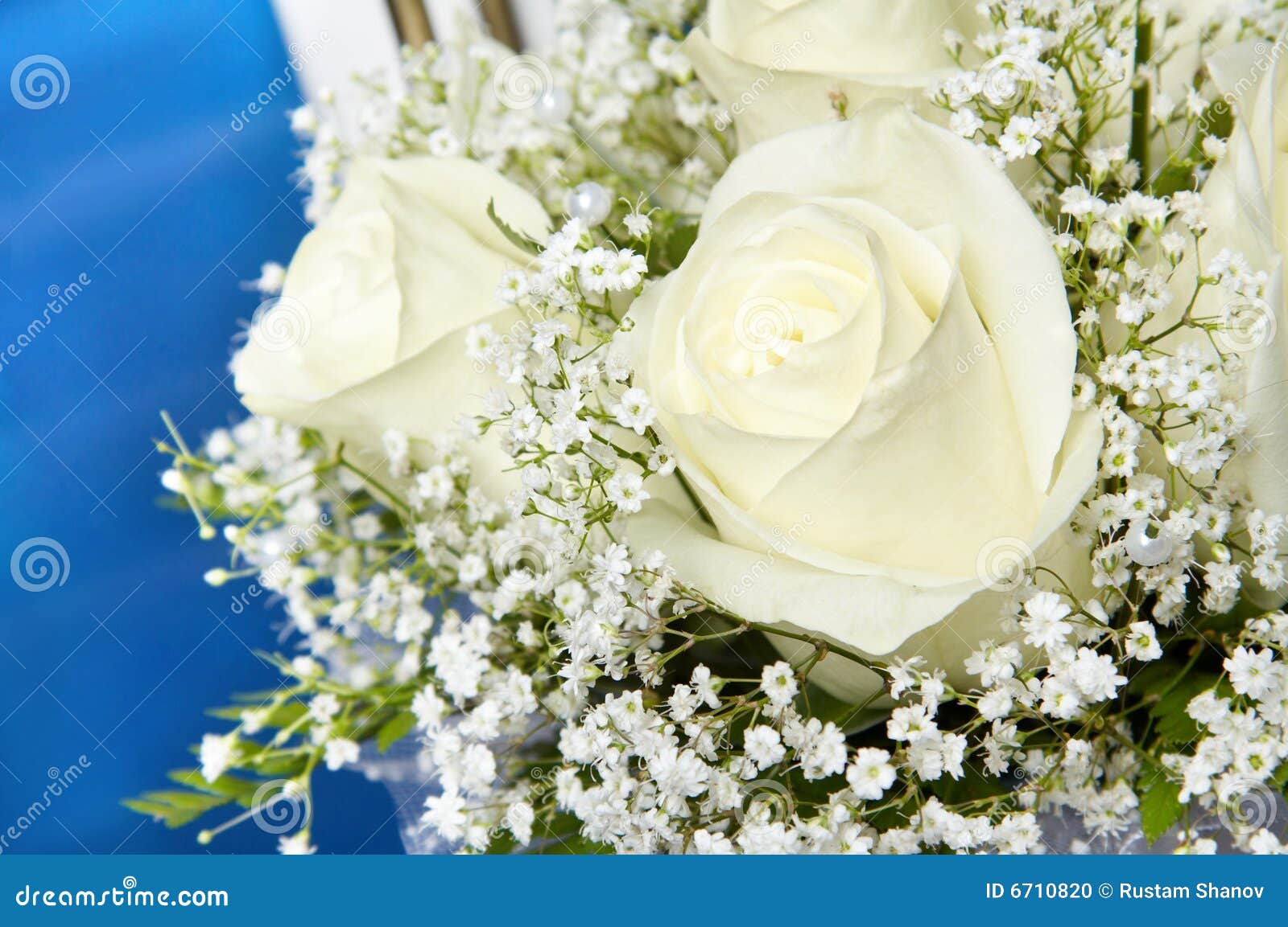 Bouquet Of White Roses Picture. Image: 6710820