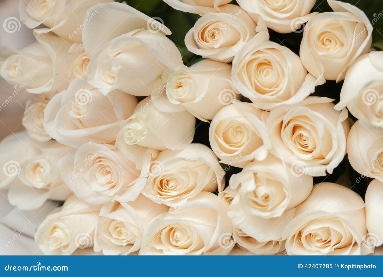 Bouquet of white roses stock image. Image of bouquet - 42407285