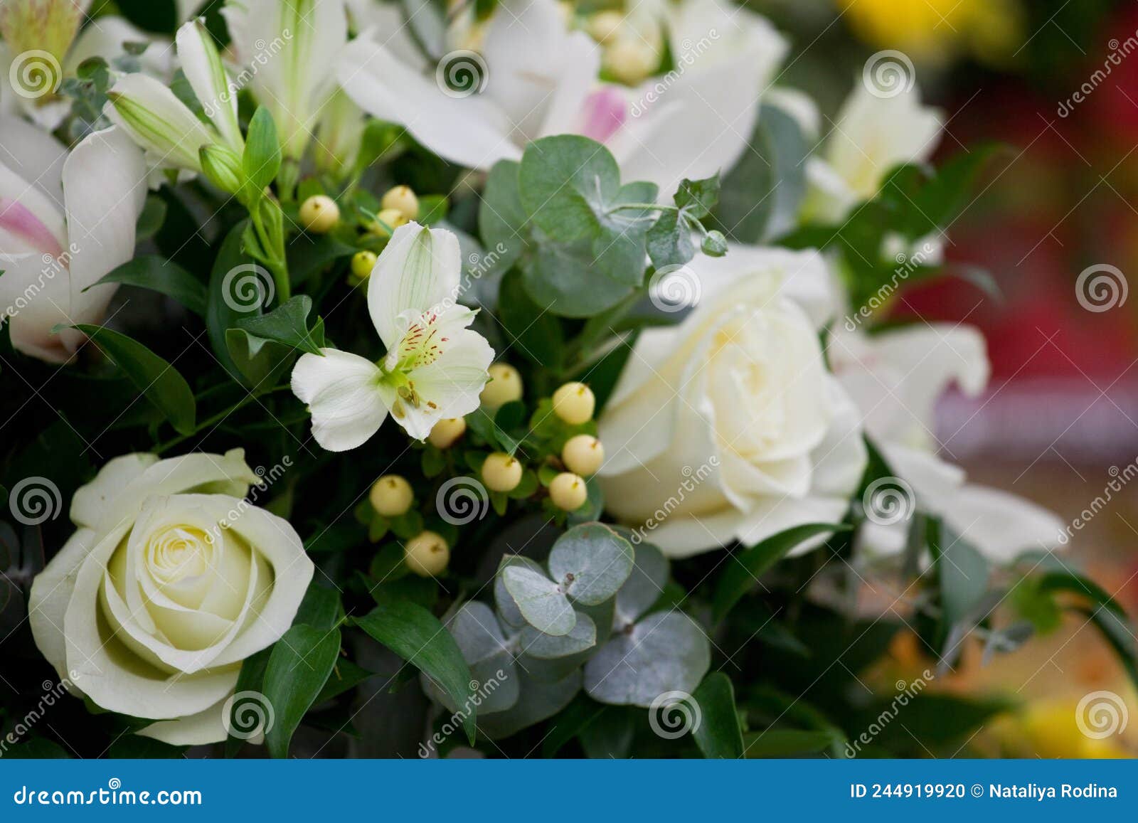 Bouquet of white roses stock photo. Image of blossom - 244919920
