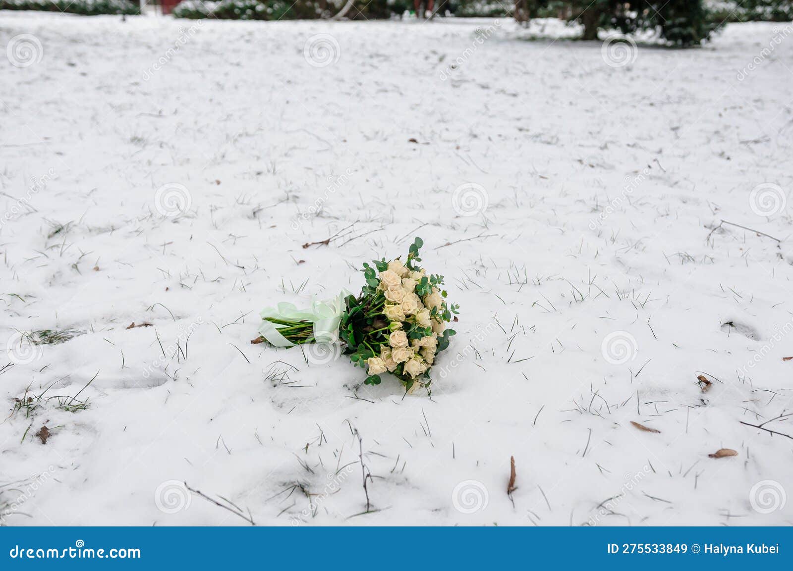 Bouquet of White Roses in the Snow Stock Image - Image of romantic ...