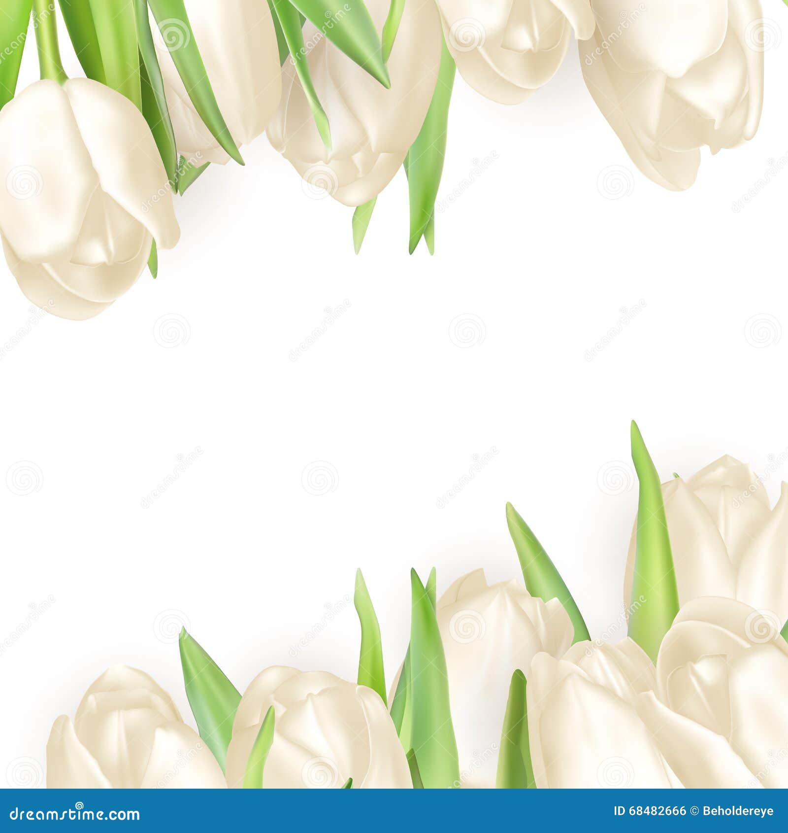 Bouquet of White Tulips. EPS 10 Stock Vector - Illustration of ...