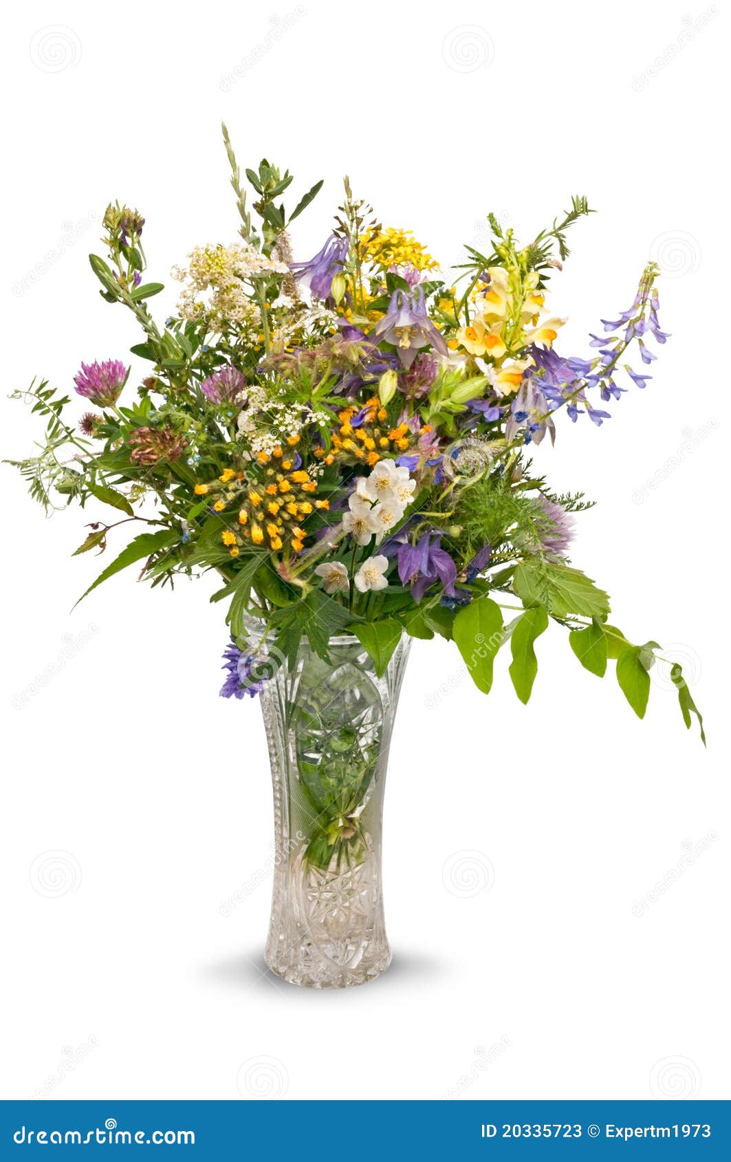Bouquet of Wild Flowers Isolated Stock Image - Image of beautiful ...