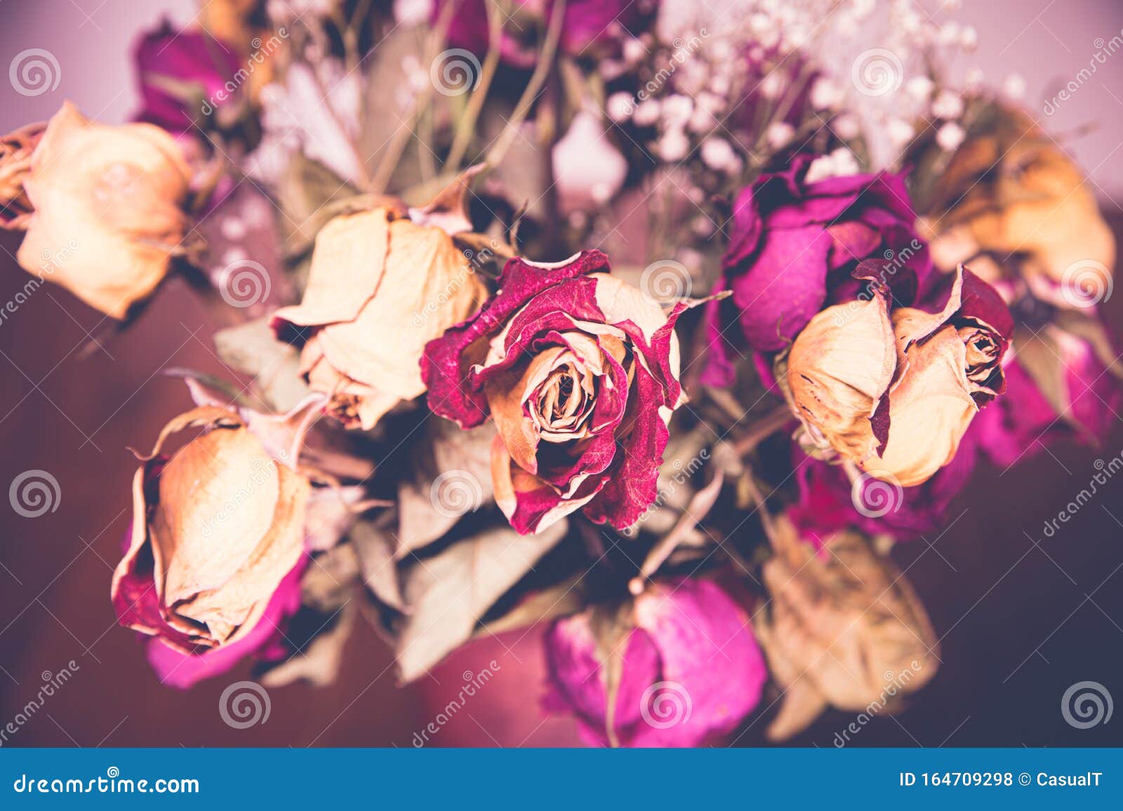 A Bouquet of Wilted and Dry Roses in a Vase Stock Photo - Image of dead ...