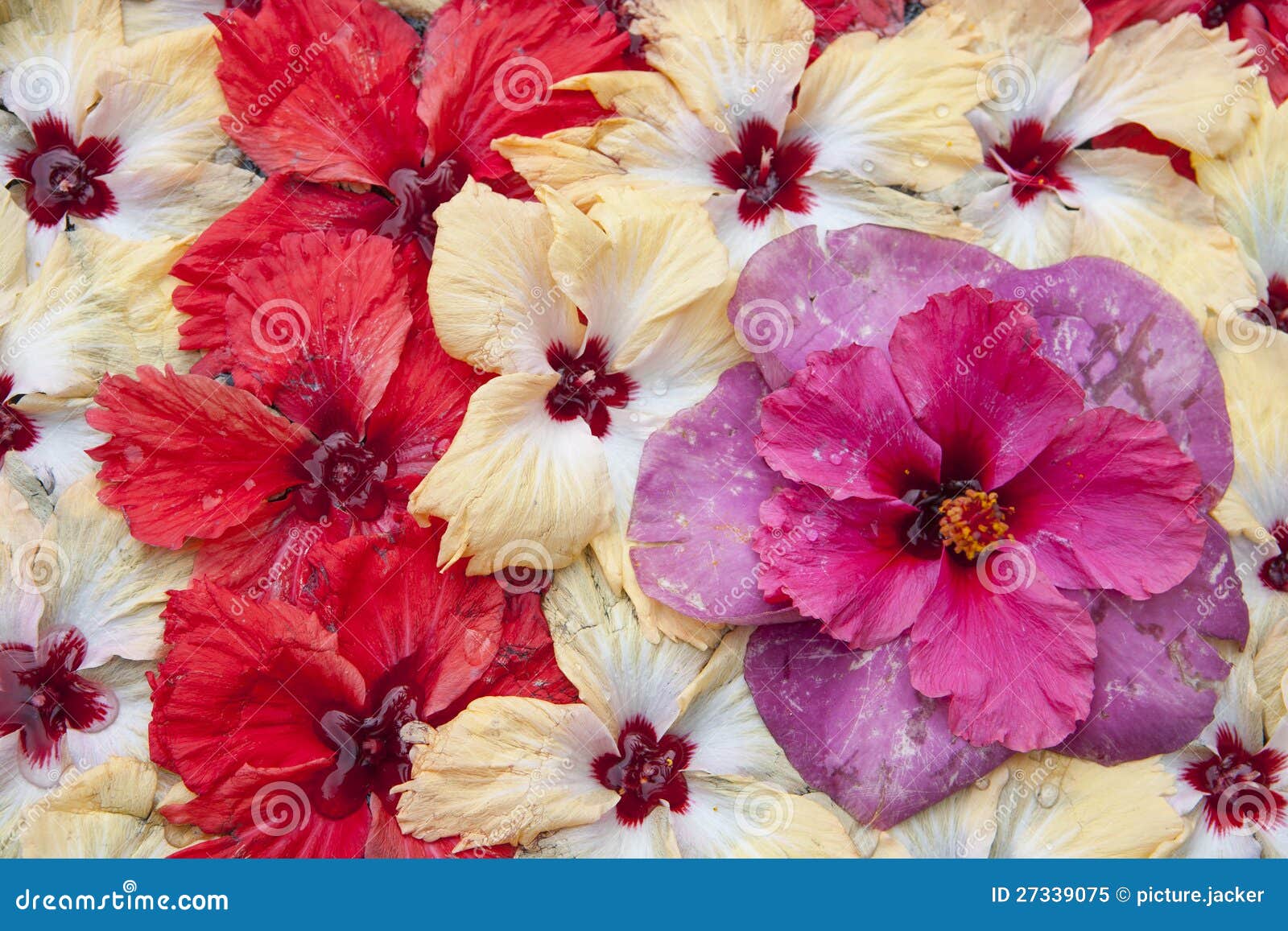 Bouquet of Withered Flowers Stock Image - Image of stem, love: 27339075