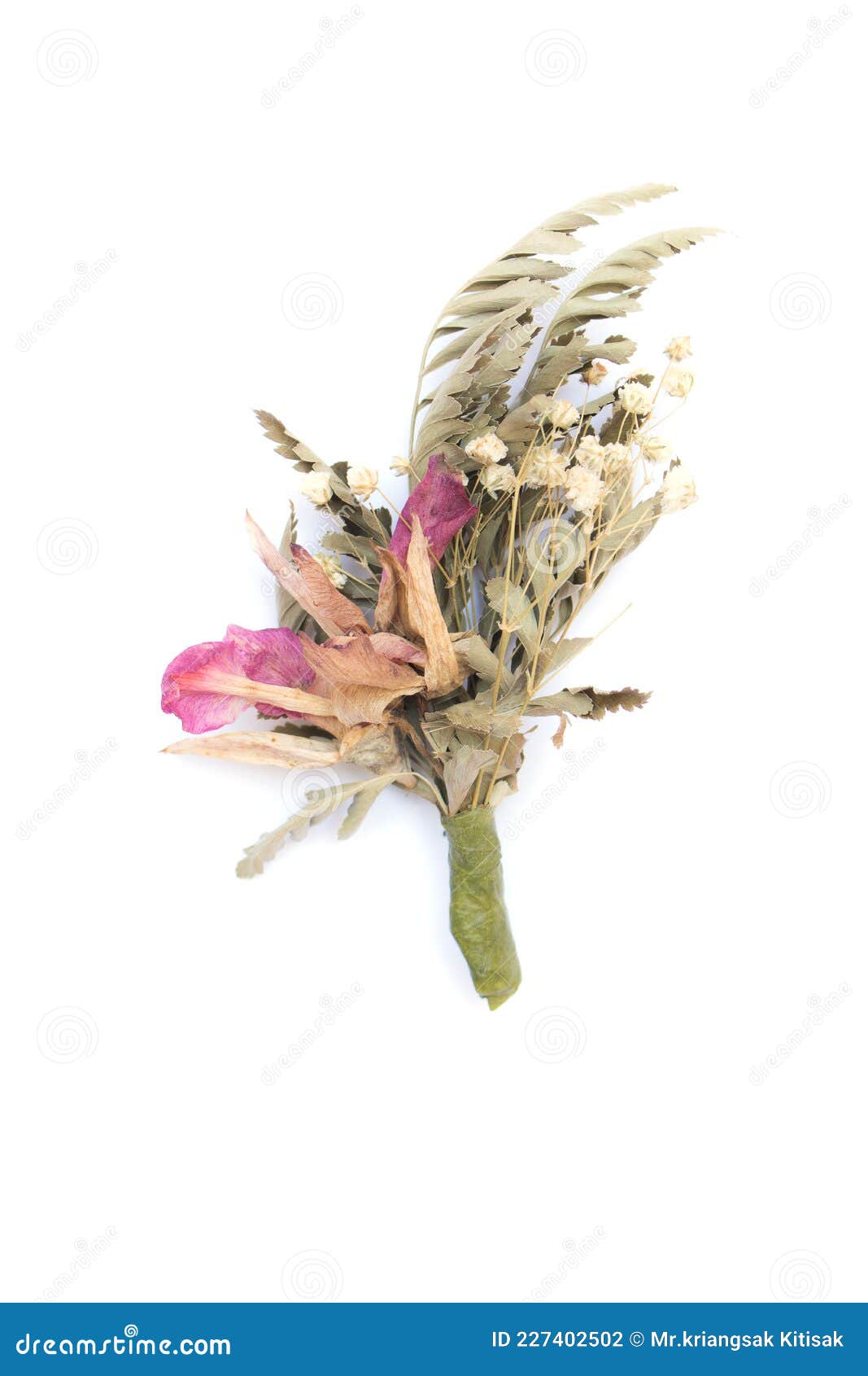 A Bouquet of Withering Flower Isolated on White Background Stock Photo ...