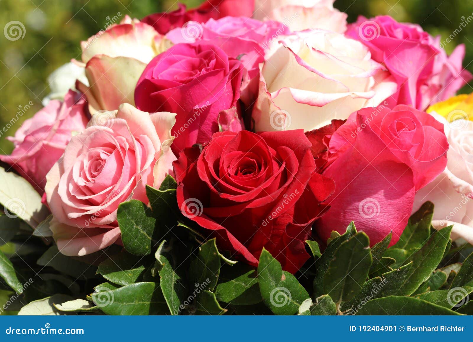A Bouquet of Wonderful Different Roses Stock Image - Image of flirting ...