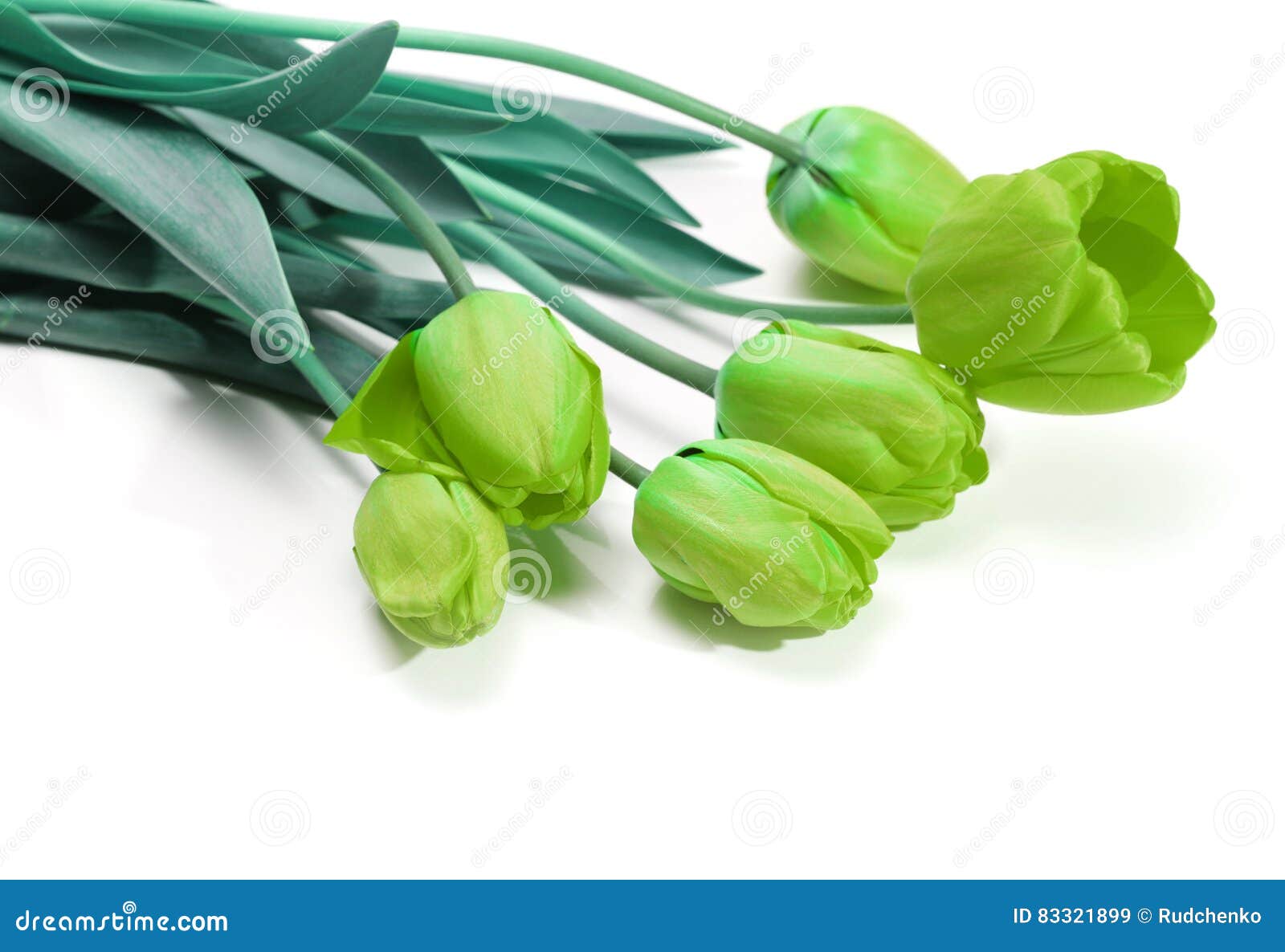 Bouquet of Yellow and Green Tulips Stock Image - Image of bunch, yellow ...