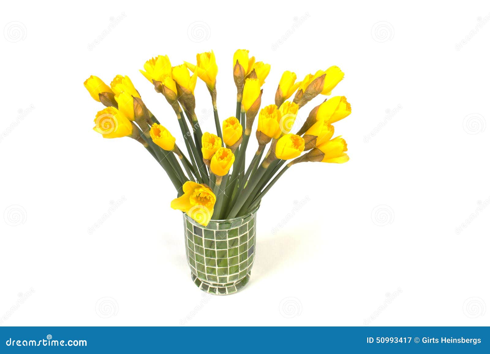 Bouquet of Yellow Lent Lily (daffodil) Isolated on White Stock Image ...