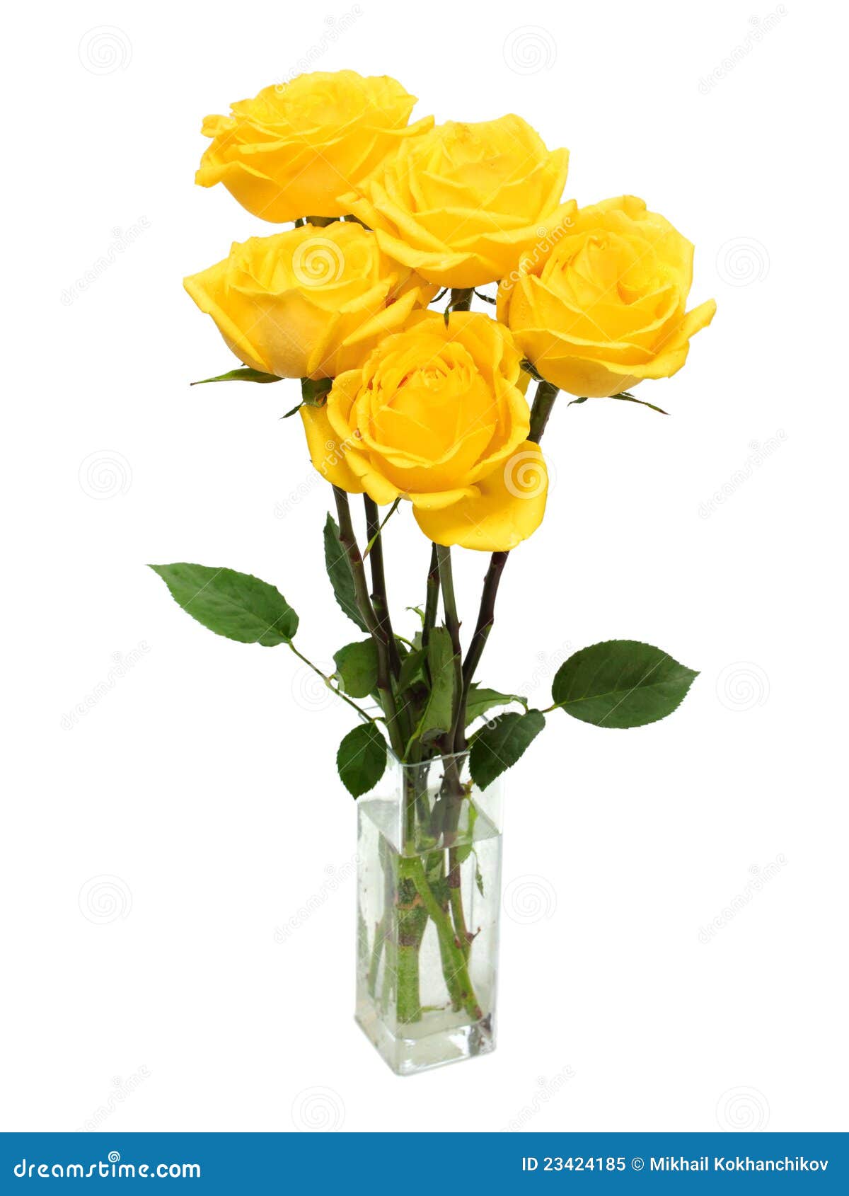 Bouquet of yellow roses stock image. Image of roses, rose - 23424185