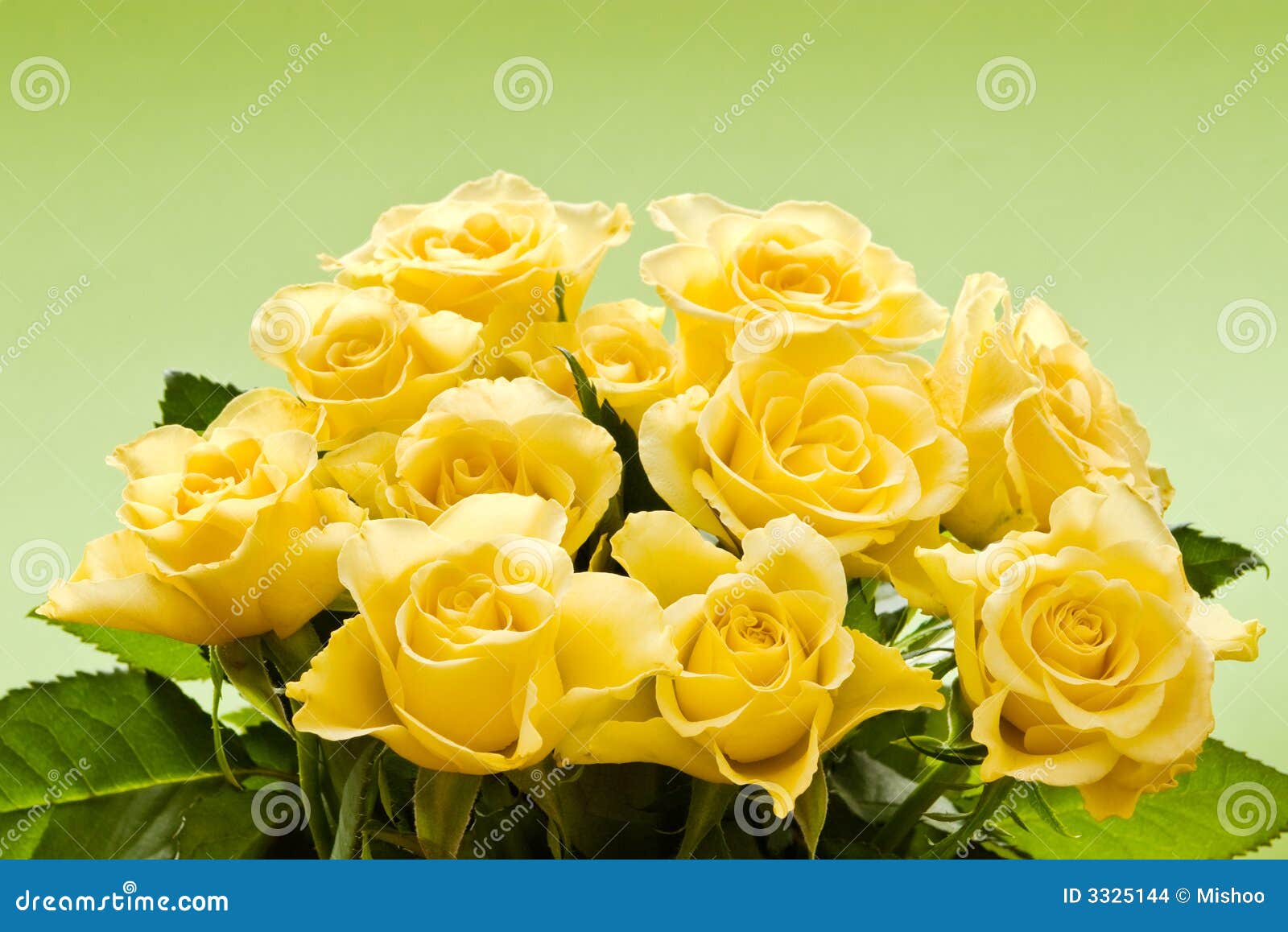 Bouquet of yellow roses stock photo. Image of concept - 3325144