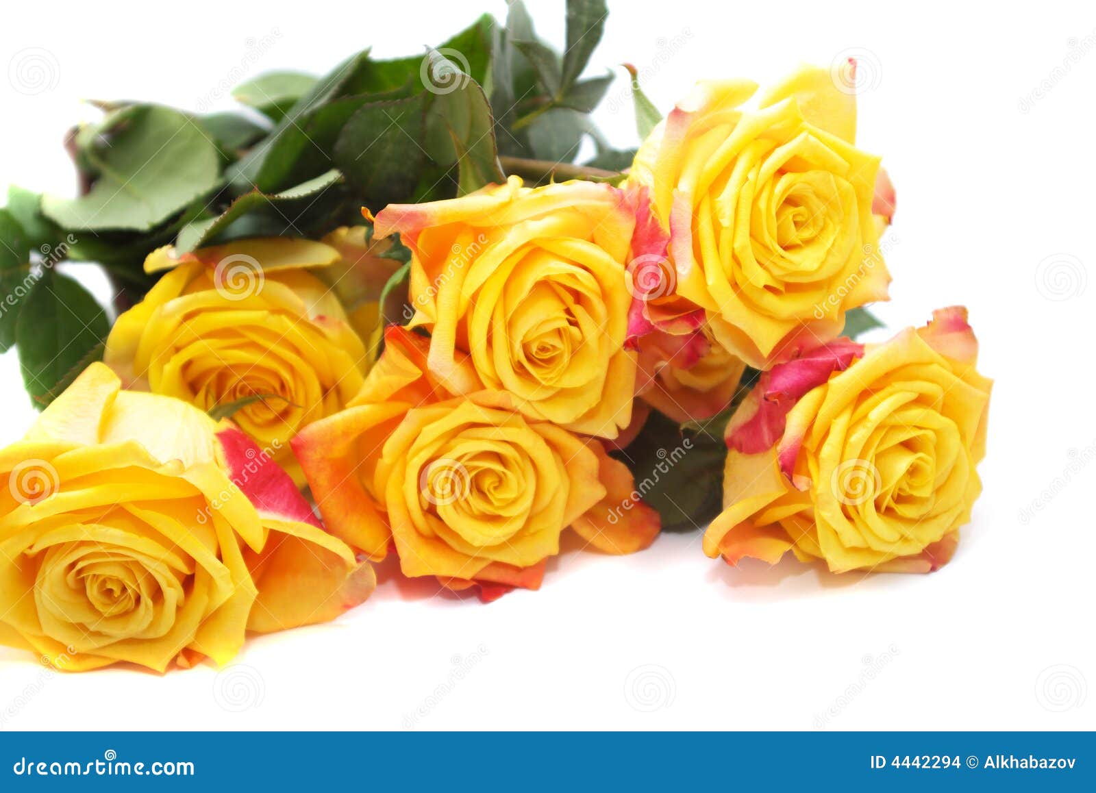Bouquet of yellow roses stock photo. Image of rose, romantic - 4442294