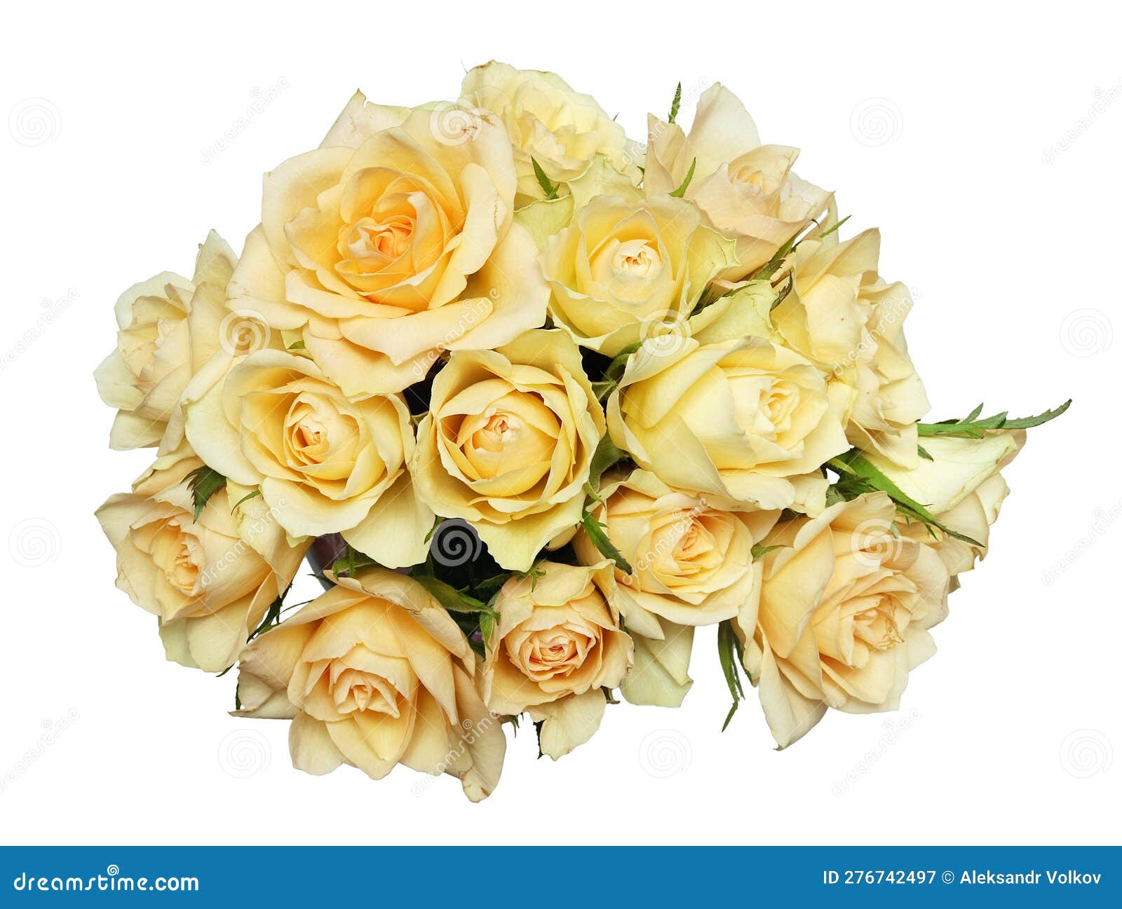 Bouquet of Yellow Roses Isolated Stock Image - Image of rose, group ...