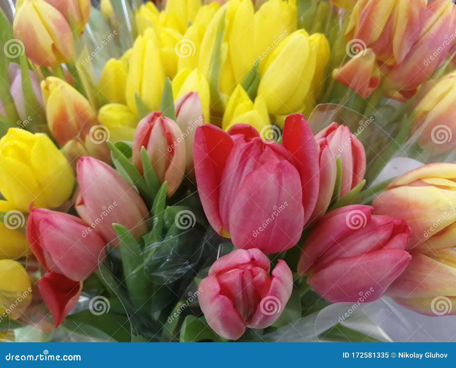 Bouquets with Beautiful Colorful Tulips for March 8. Stock Image ...