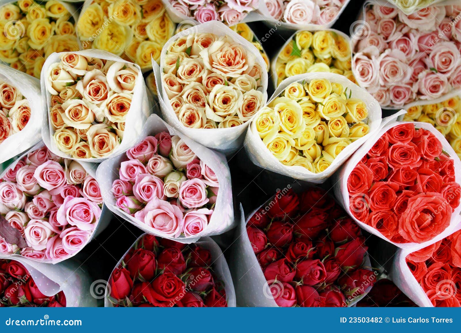 Bouquets, Colored Roses - Top View Stock Photo - Image of plants, plant ...