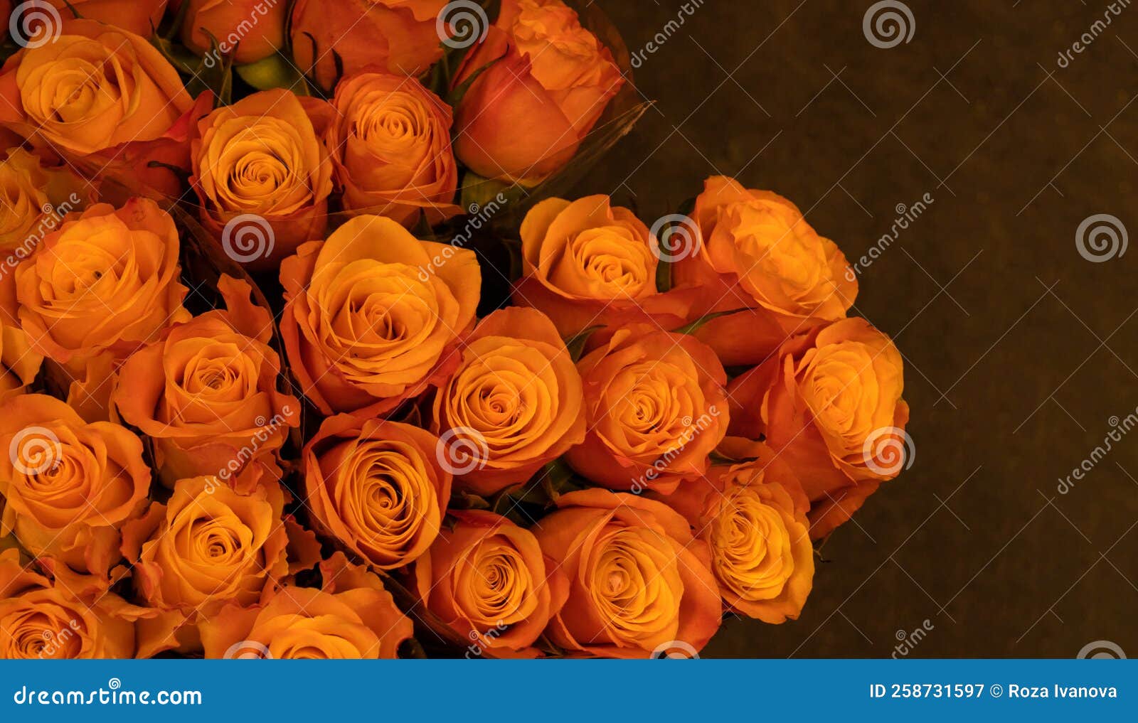 Bouquets of Coral Roses, Top View with Copy Space Stock Image - Image ...