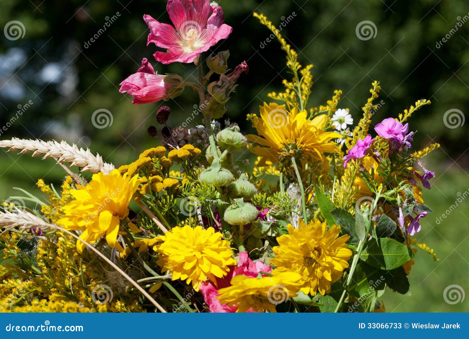 Bouquets of Flowers and Herbs Stock Image - Image of flower, bloom ...