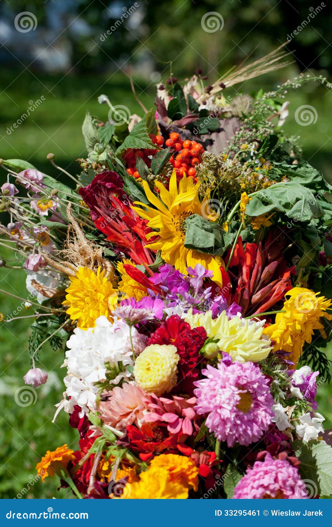 Bouquets of Flowers and Herbs Stock Image - Image of harvest, aster ...