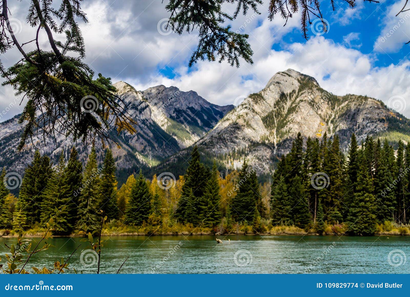 Marsh Loop, Banff National Park, Alberta, Canada Stock Photo - Image of ...