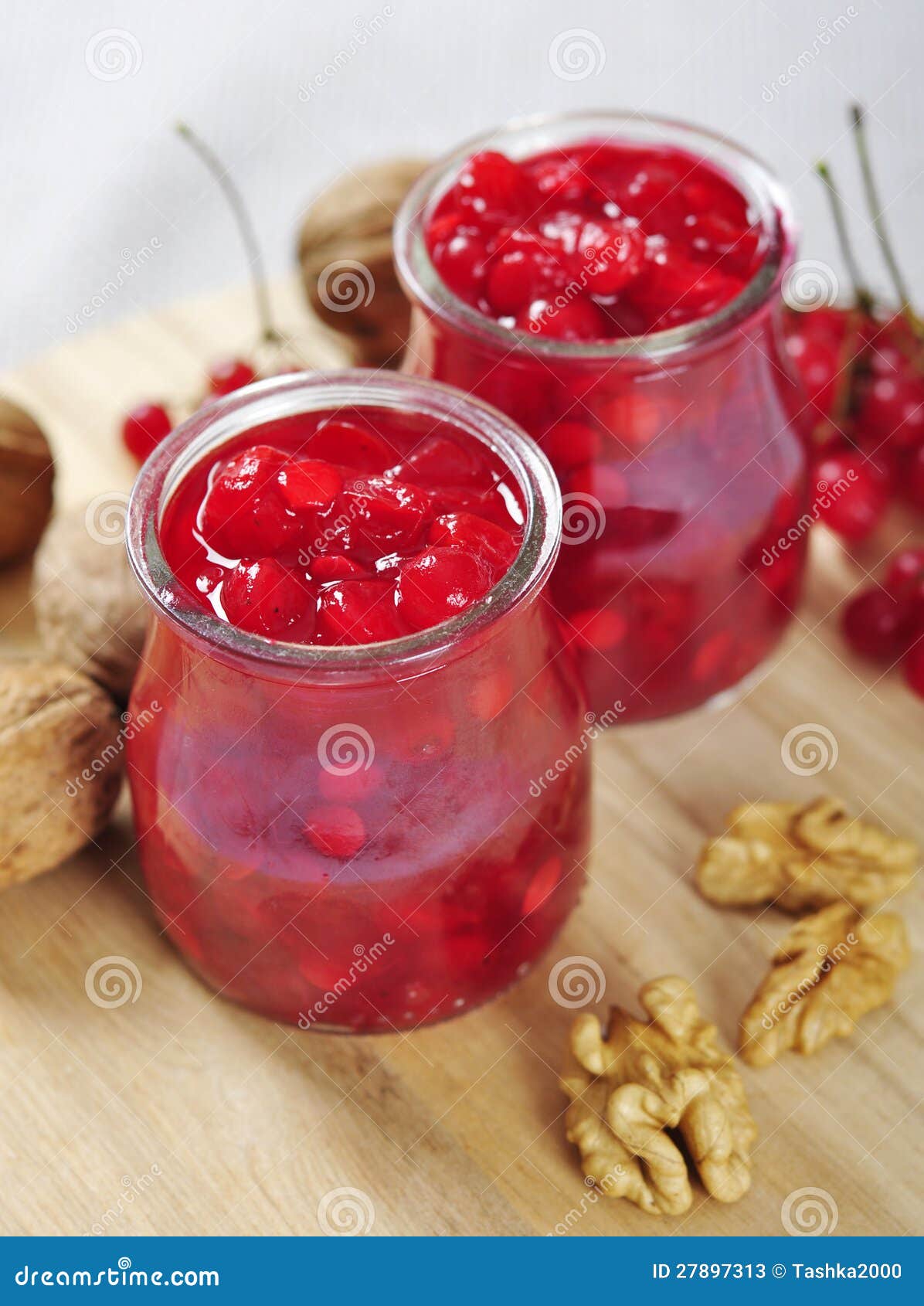 Bourrage de Viburnum image stock. Image du coulée, fruits - 27897313