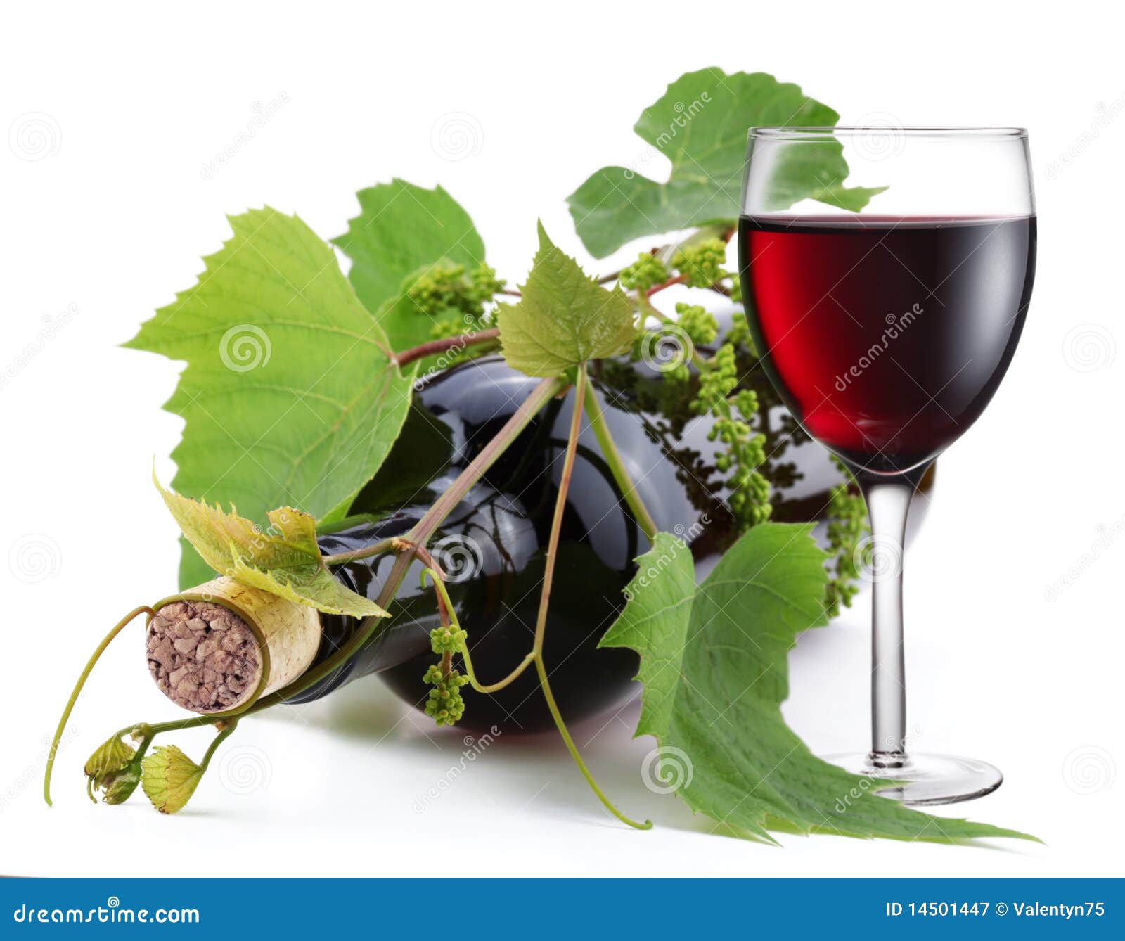 Bouteille De Vin Dans La Vigne Photographie stock libre de droits ...