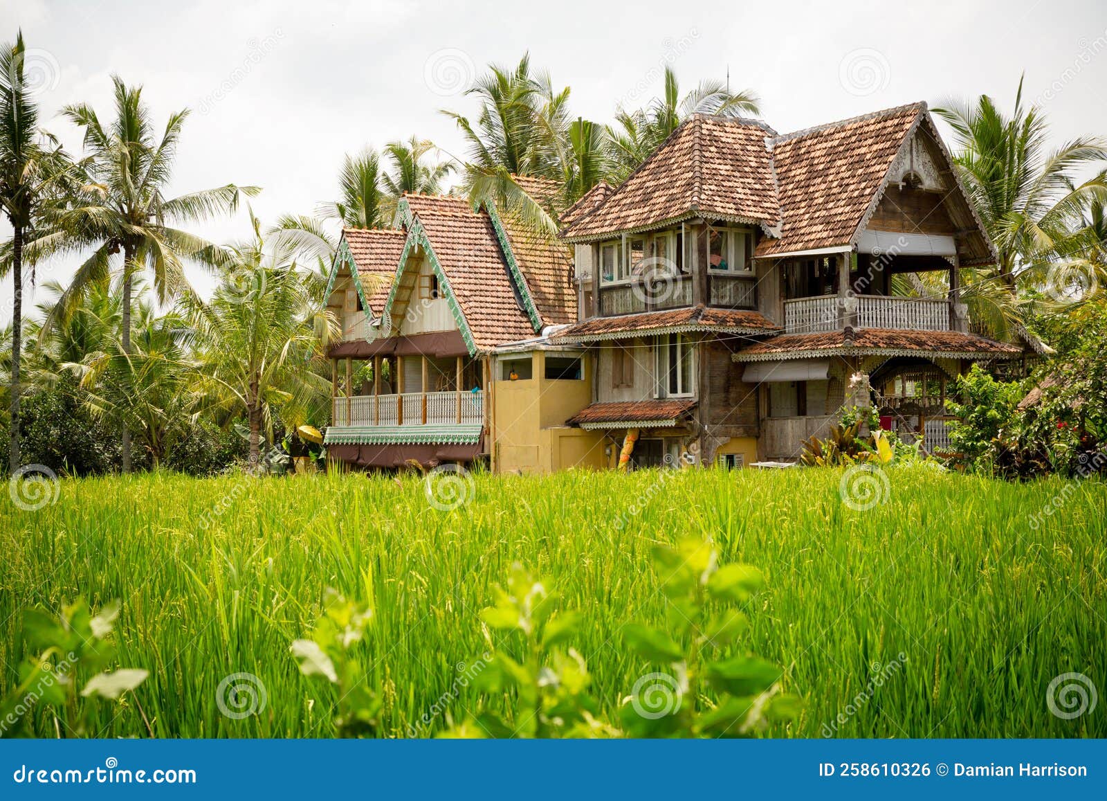 A Boutique Hotel in the Rice Fields of Bali Stock Photo - Image of ...