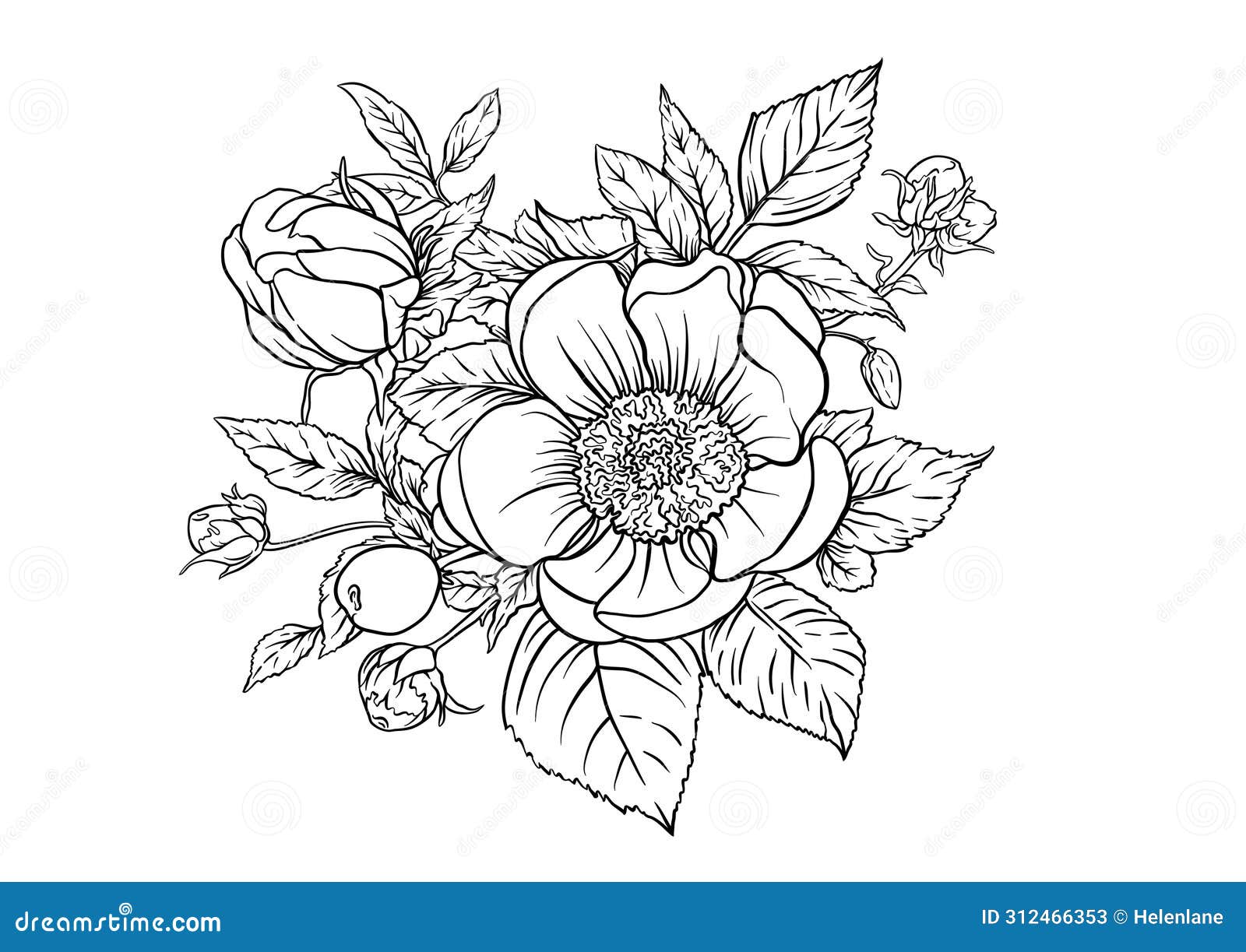 Boutonniere of Wild Rose Flowers and Berries Stock Illustration ... Boutonniere of Wild Rose Flowers and Berries Stock Illustration ...