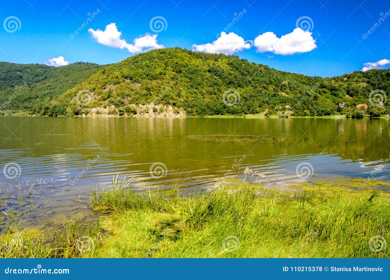 Bovan lake in Serbia stock photo. Image of bovan, landscape - 110215378