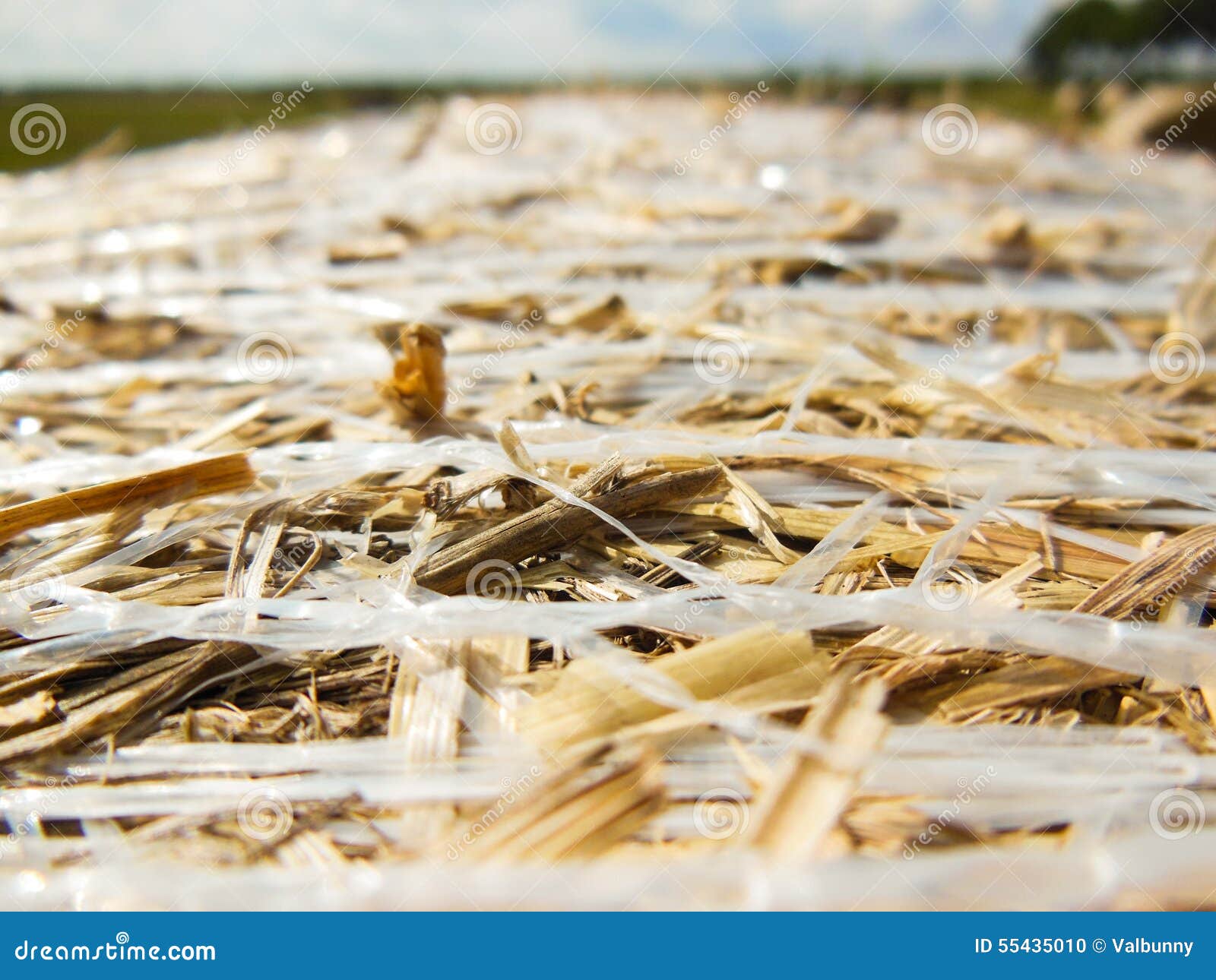 Bovenkant van Hay Bale stock foto. Image of voer, zomer - 55435010