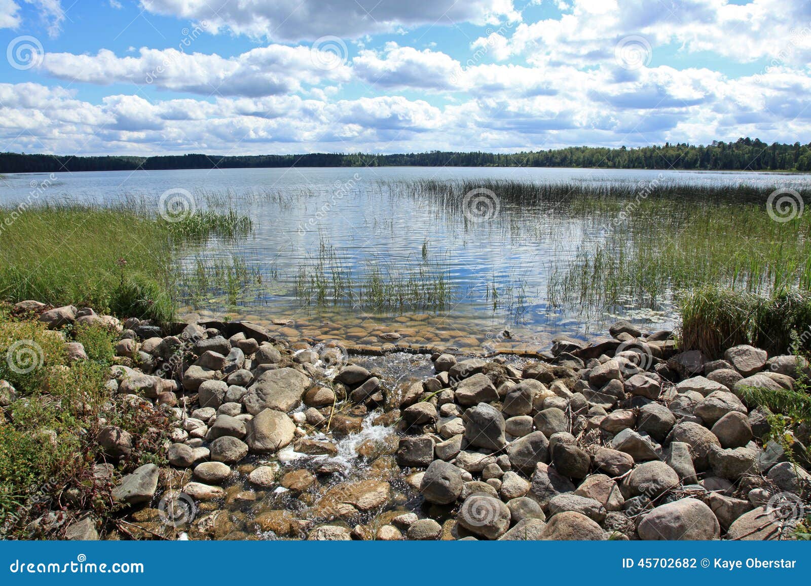 Bovenloop Van De Mississippi Stock Foto - Image of bomen, wolken: 45702682
