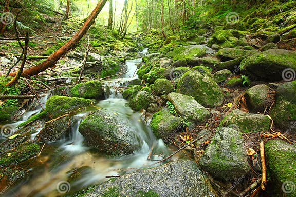 Bovenloop Van De Rivier Chikumagawa Stock Afbeelding - Image of groen ...