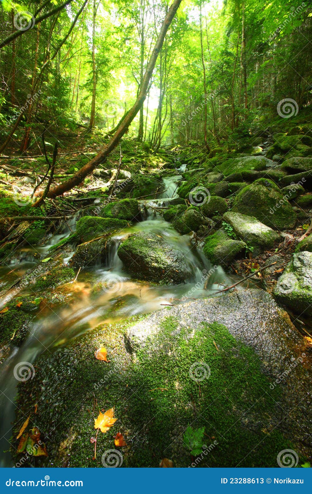 Bovenloop Van De Rivier Chikumagawa Stock Afbeelding - Image of rots ...