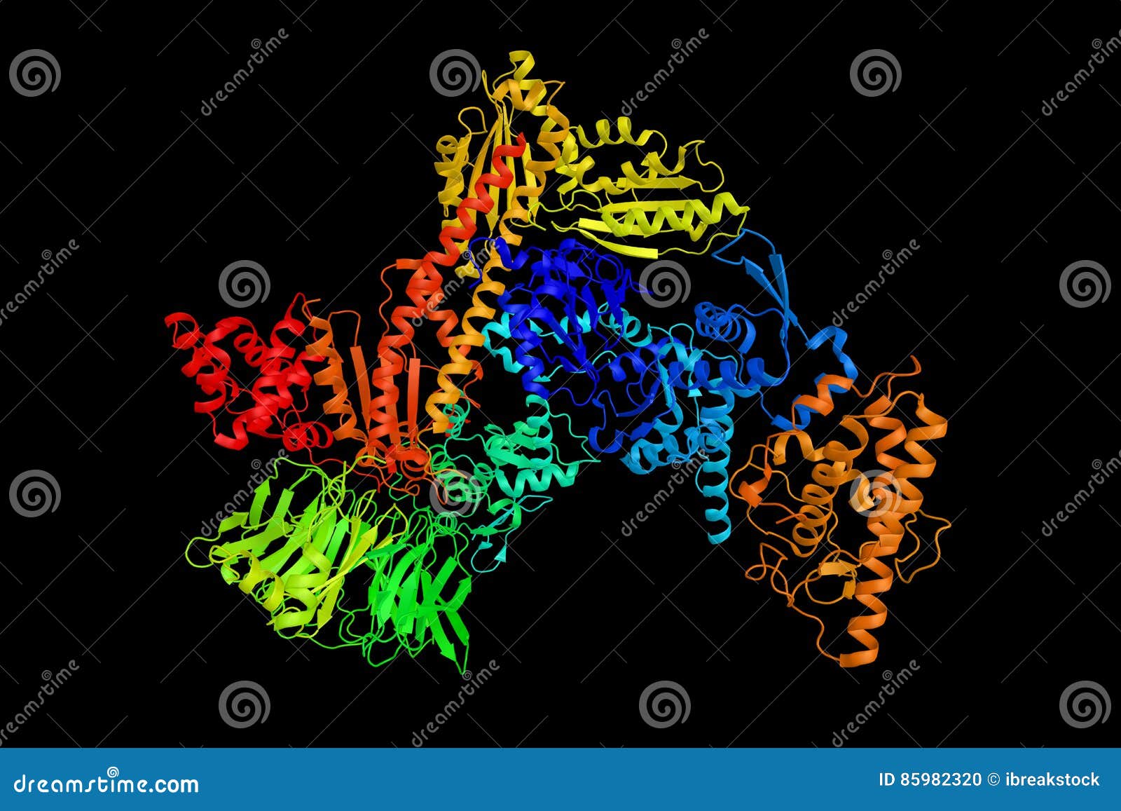 Bovine Arp2/3 Complex. Arp2/3 Complex is a Seven-subunit Protein Stock ...