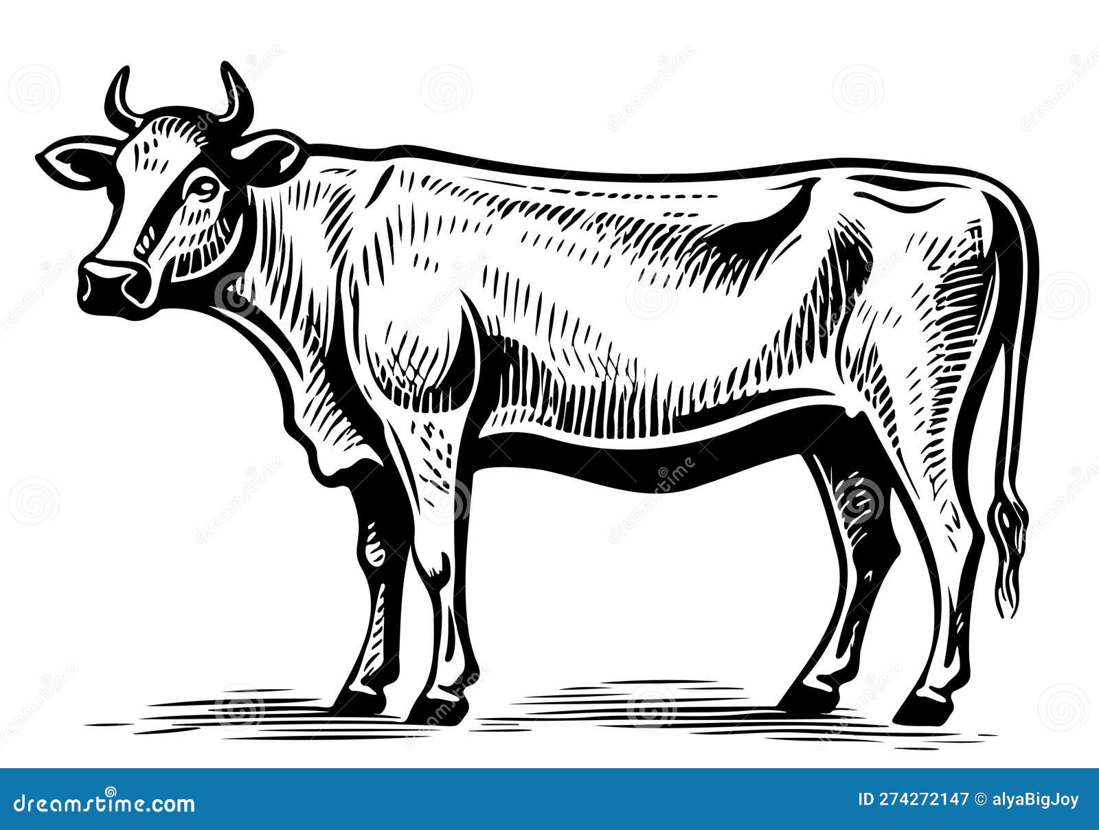 Bovino De Pie Dibujado a Mano Dibujante Vectorial Bovino Stock de ...