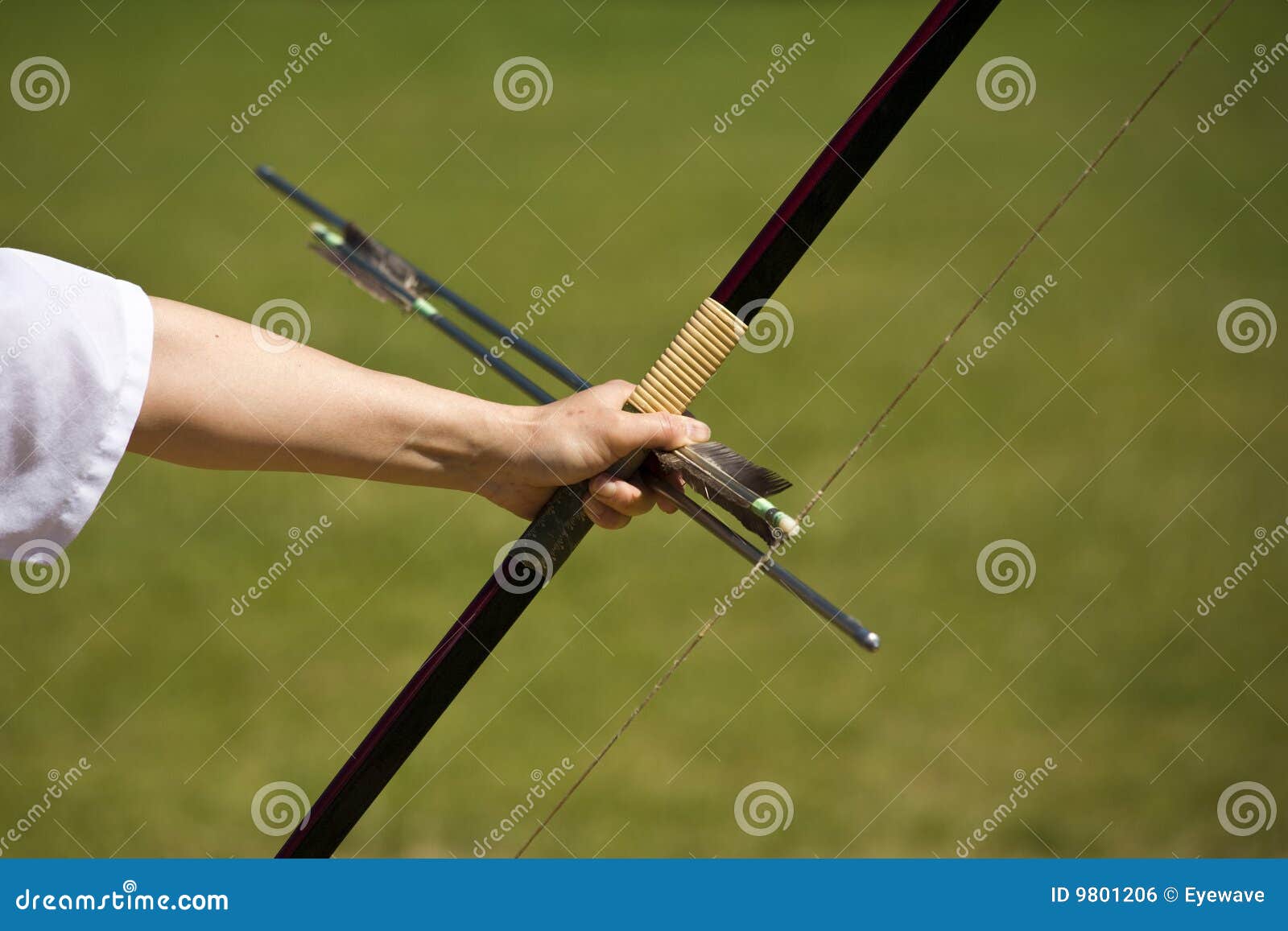 Bow and arrows stock photo. Image of archer, hand, concentration - 9801206